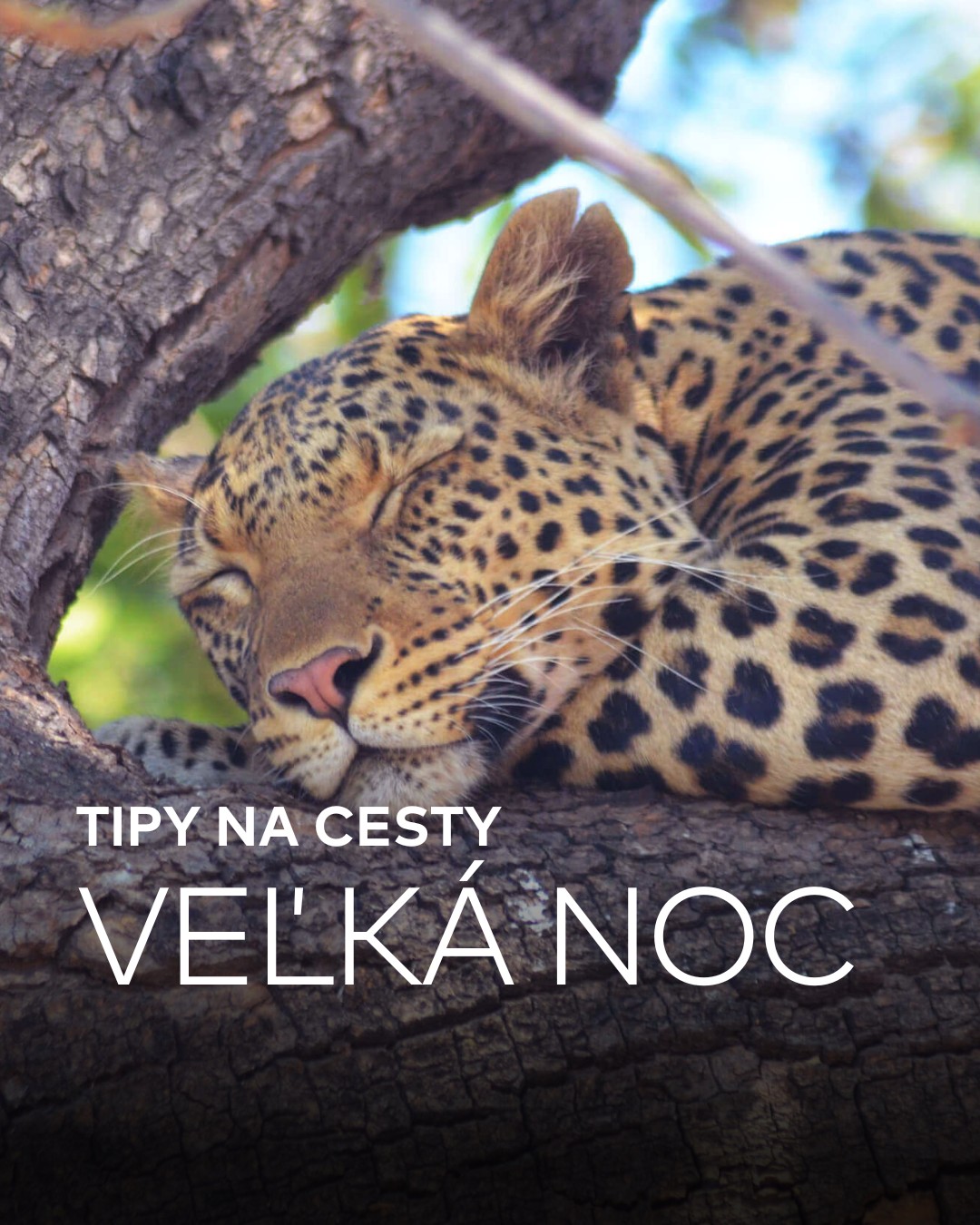 Dovolenky a poznávacie zájazdy v exotike | CK BUBO