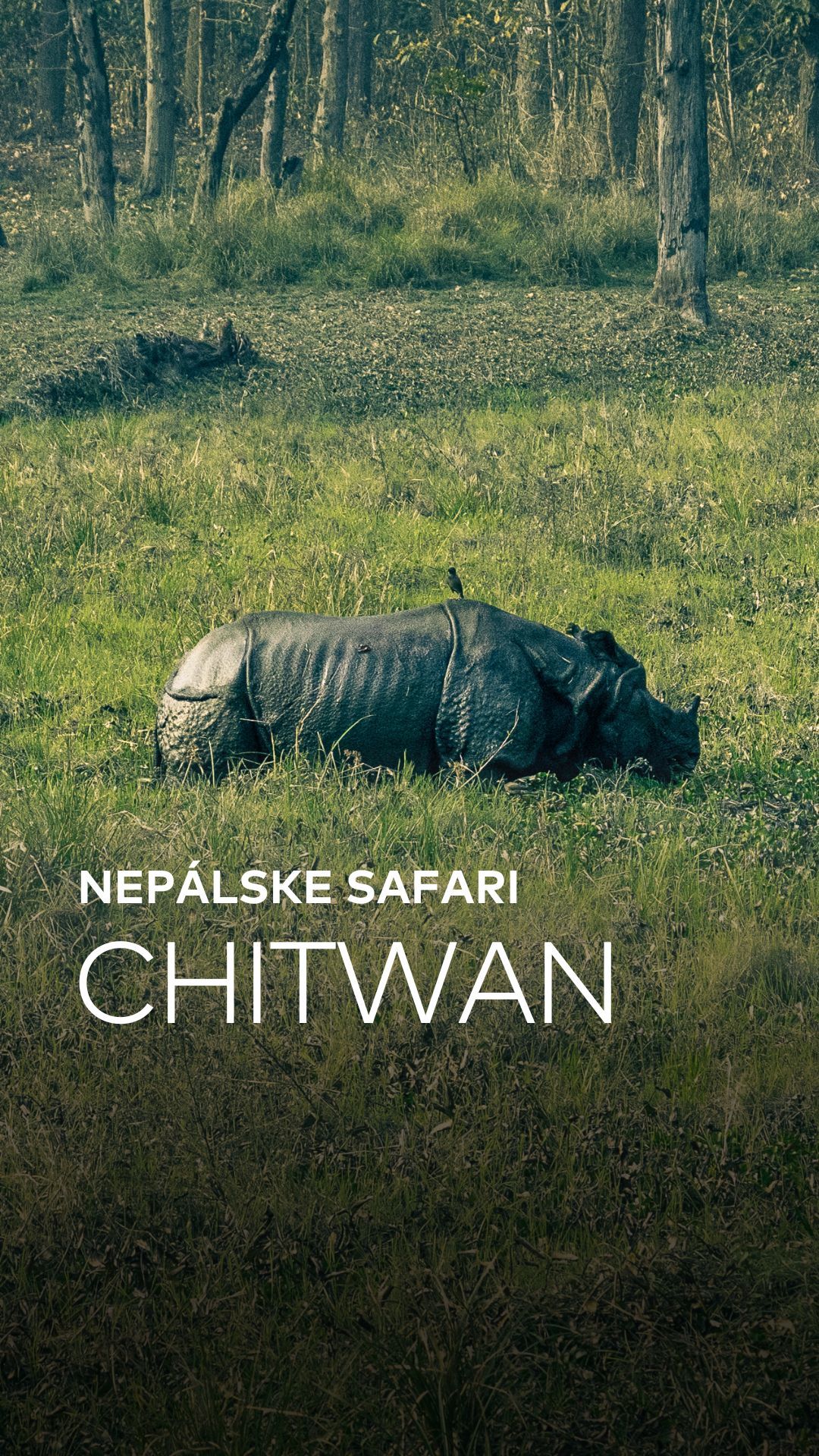 Dovolenky a poznávacie zájazdy v exotike | CK BUBO