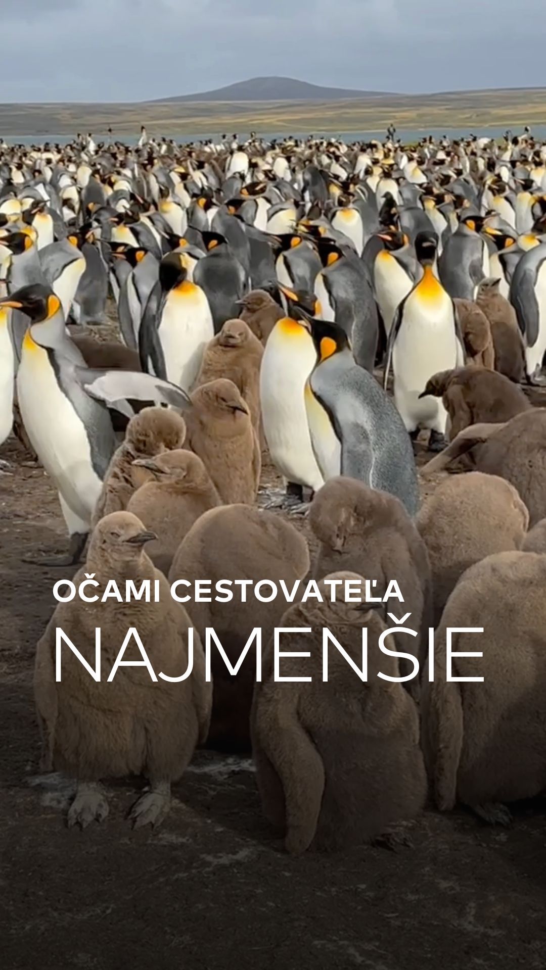 Dovolenky a poznávacie zájazdy v exotike | CK BUBO