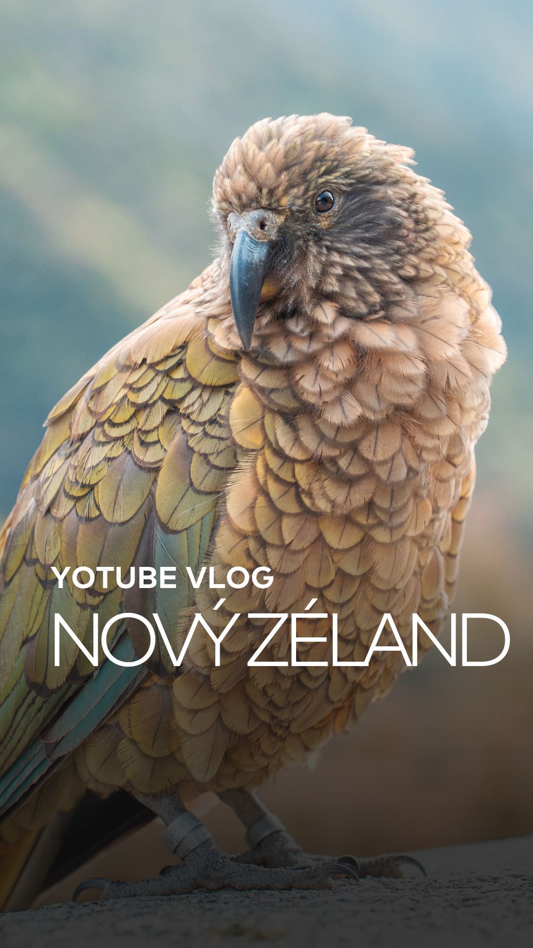 Dovolenky a poznávacie zájazdy v exotike | CK BUBO