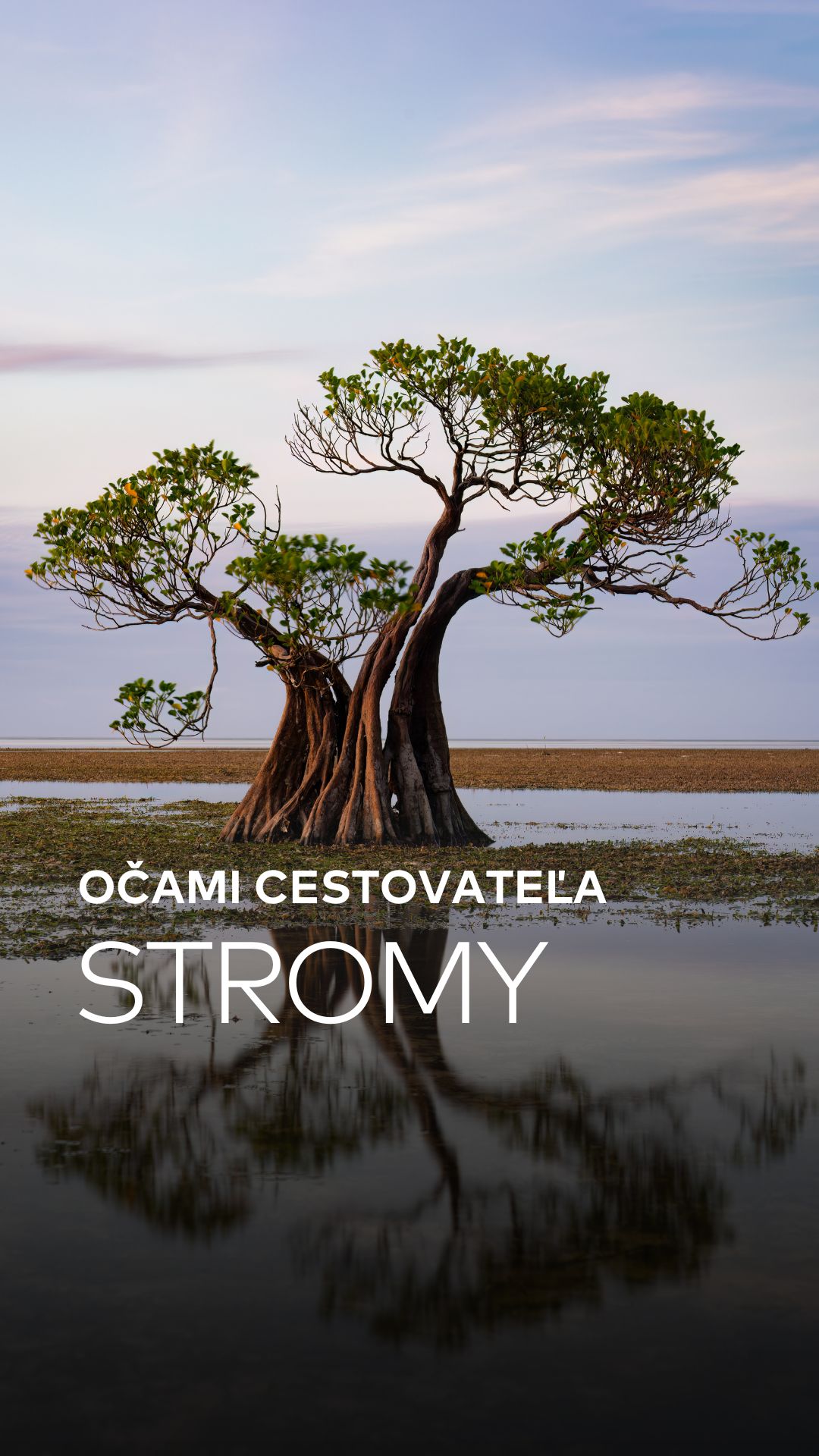 Dovolenky a poznávacie zájazdy v exotike | CK BUBO