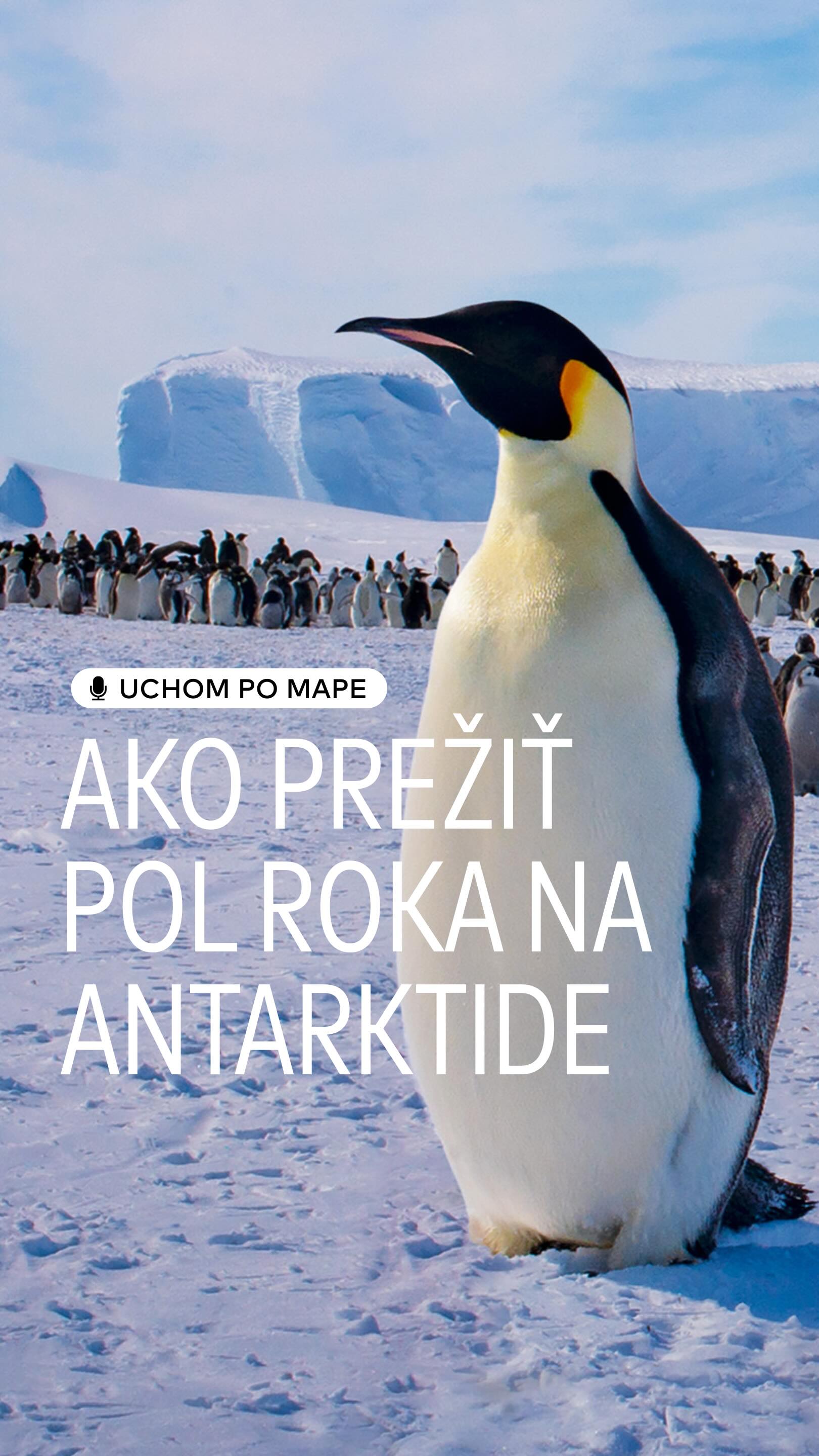 Dovolenky a poznávacie zájazdy v exotike | CK BUBO