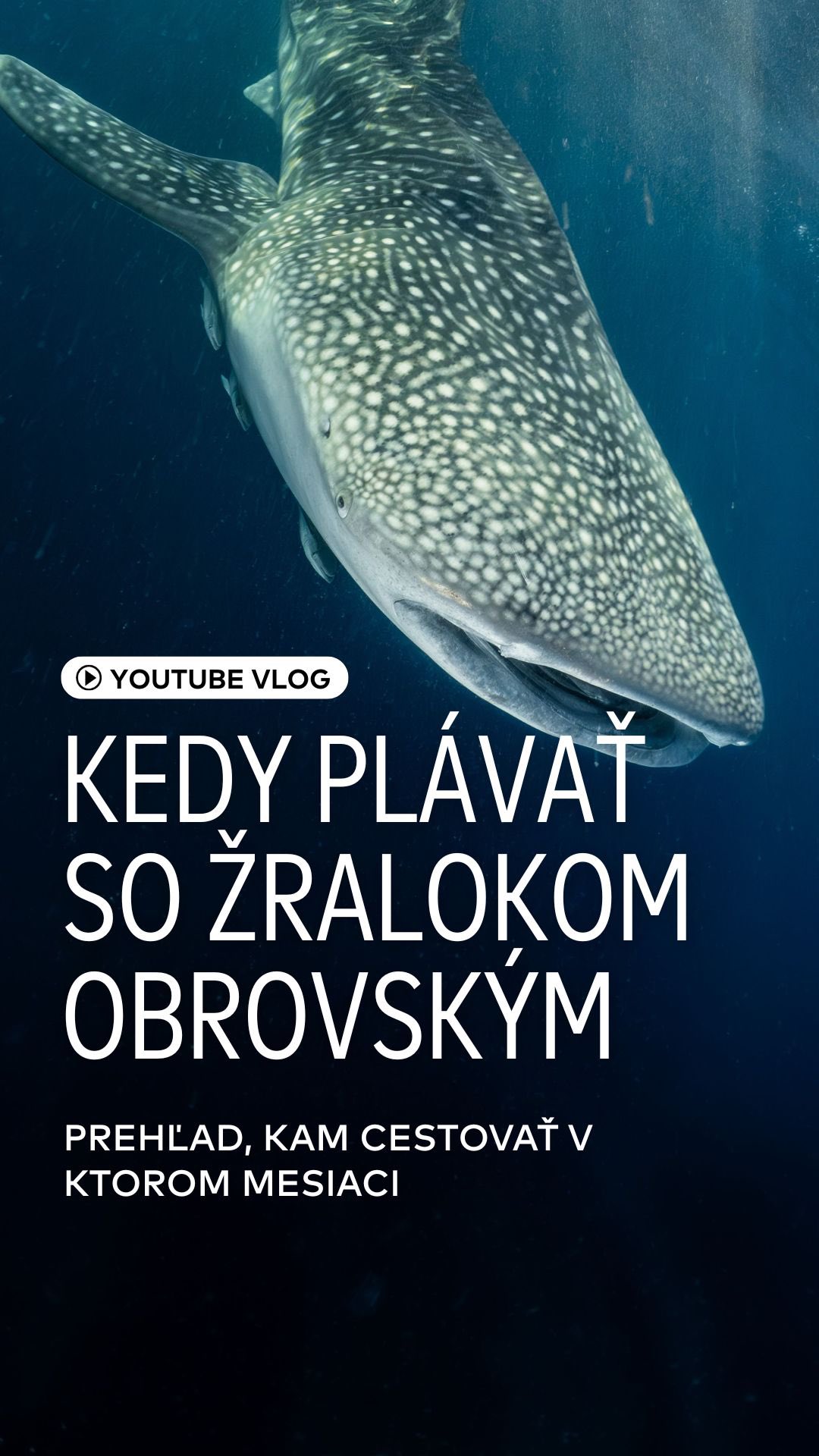 Dovolenky a poznávacie zájazdy v exotike | CK BUBO