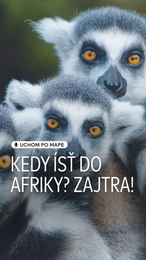 Dovolenky a poznávacie zájazdy v exotike | CK BUBO