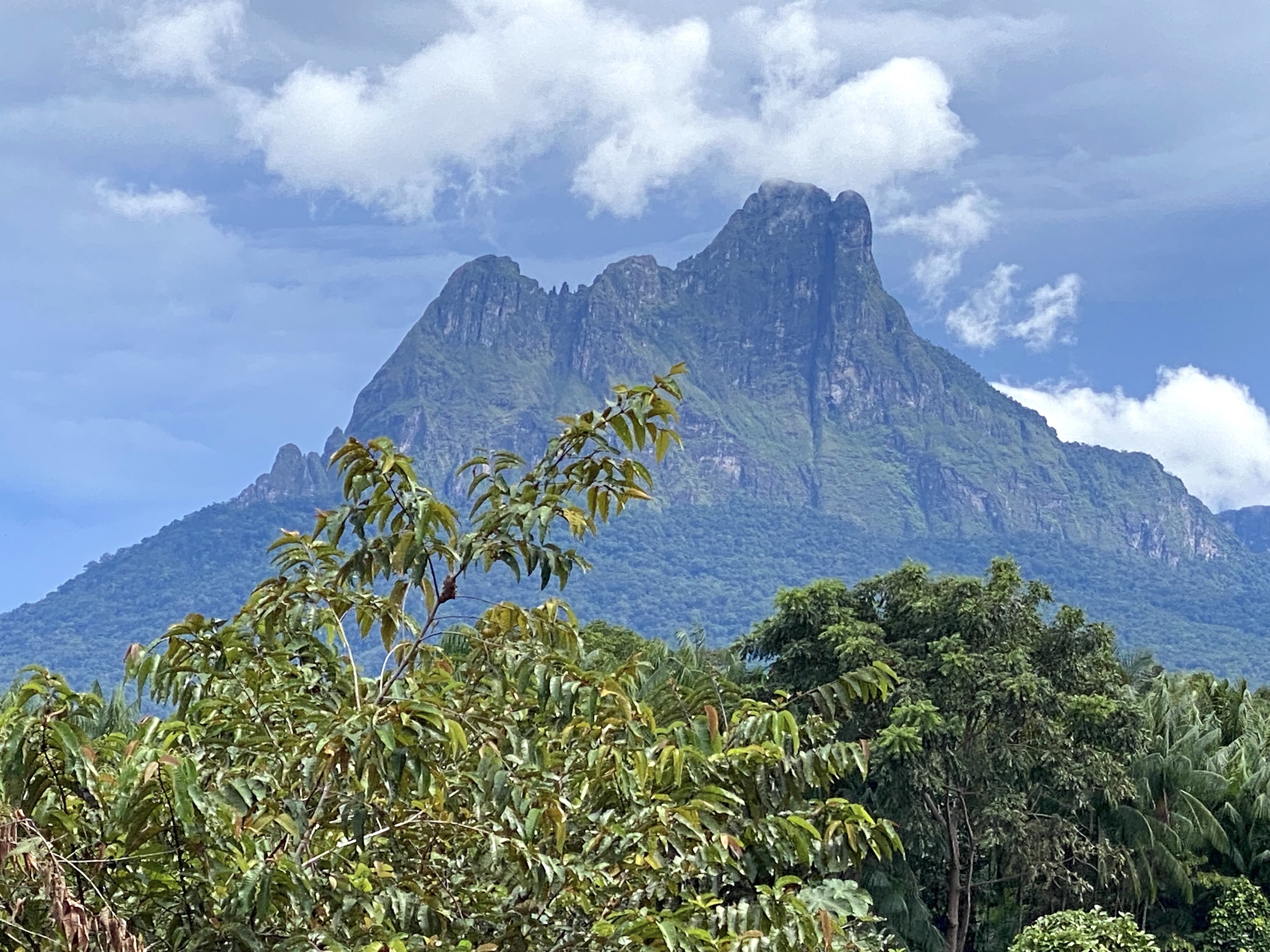 Amazónia, Amazonský prales džungla | Blog BUBO