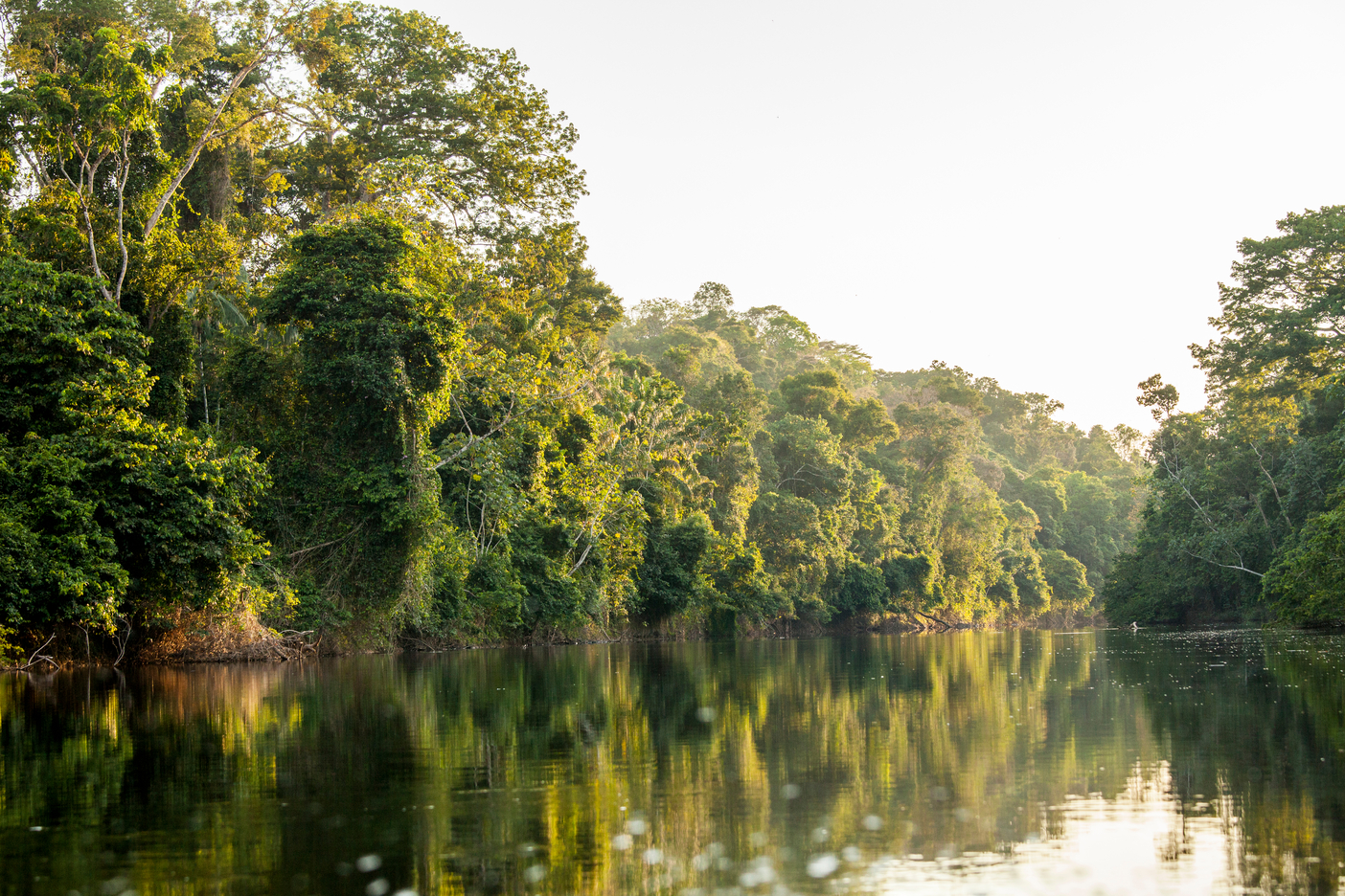 Paramaribo - rady na cestu do Surinamu | Blog BUBO