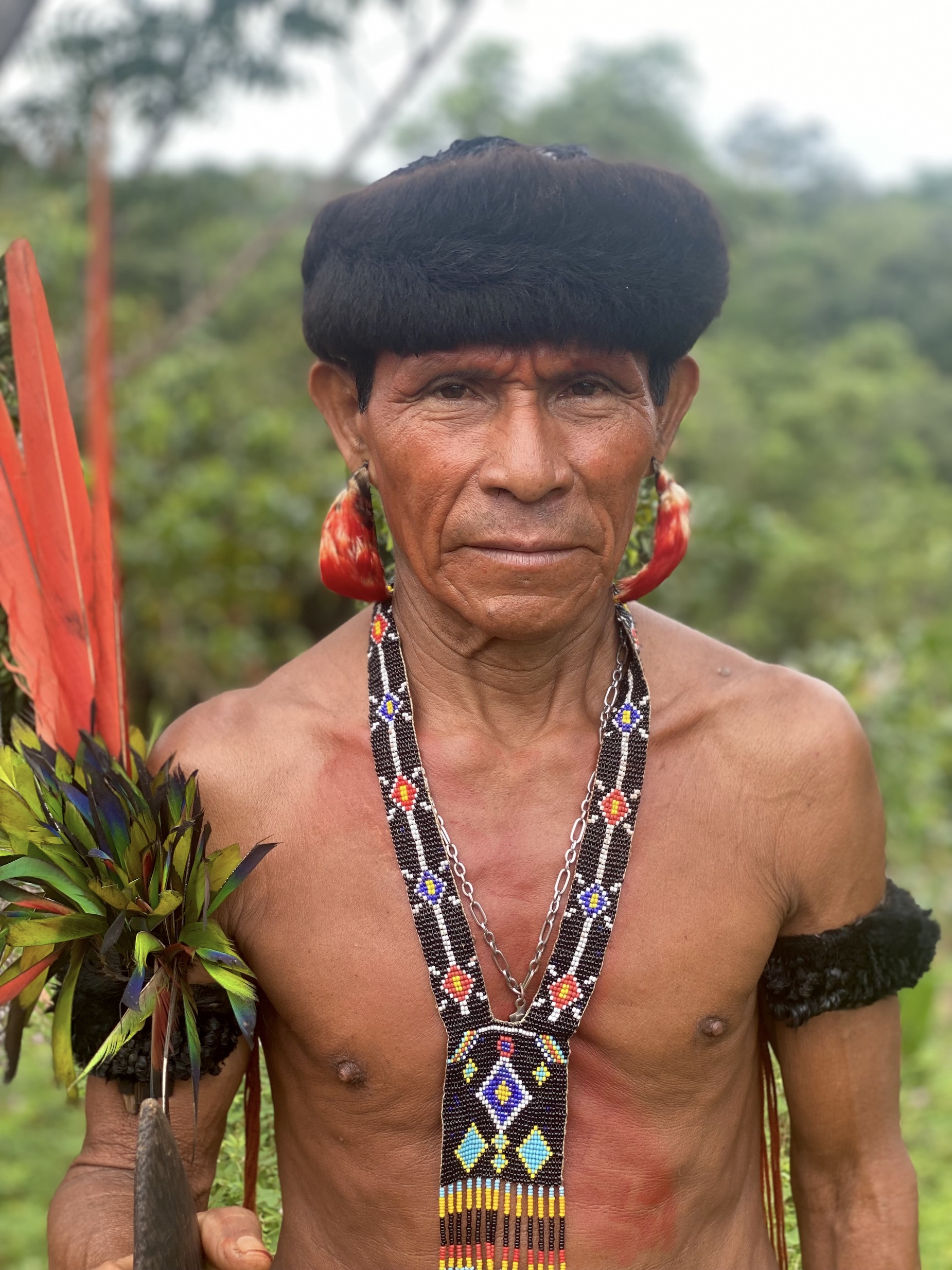 Amazónia, Amazonský prales džungla | Blog BUBO