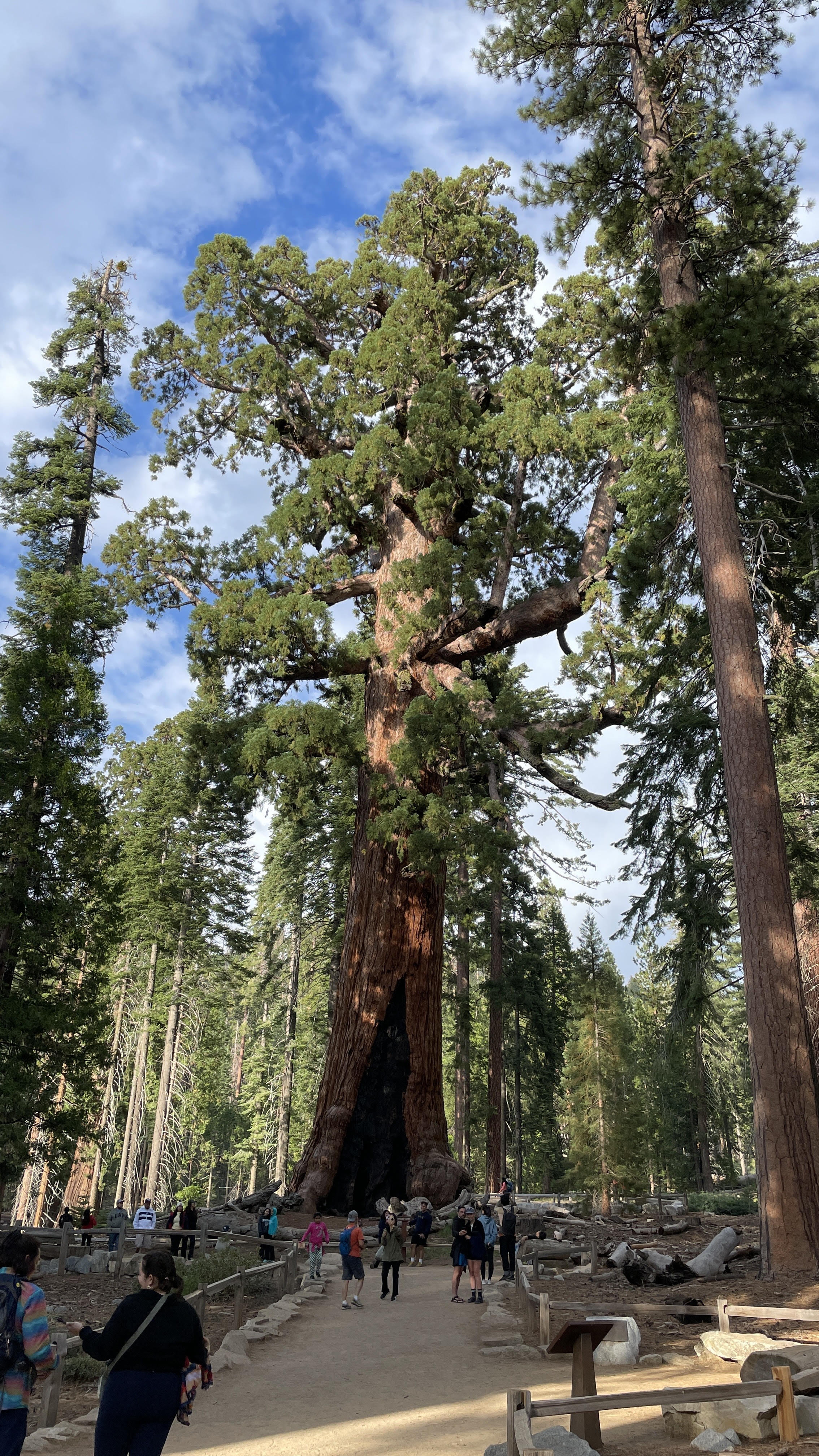 TOP 10 Národného parku Yosemite | Blog BUBO