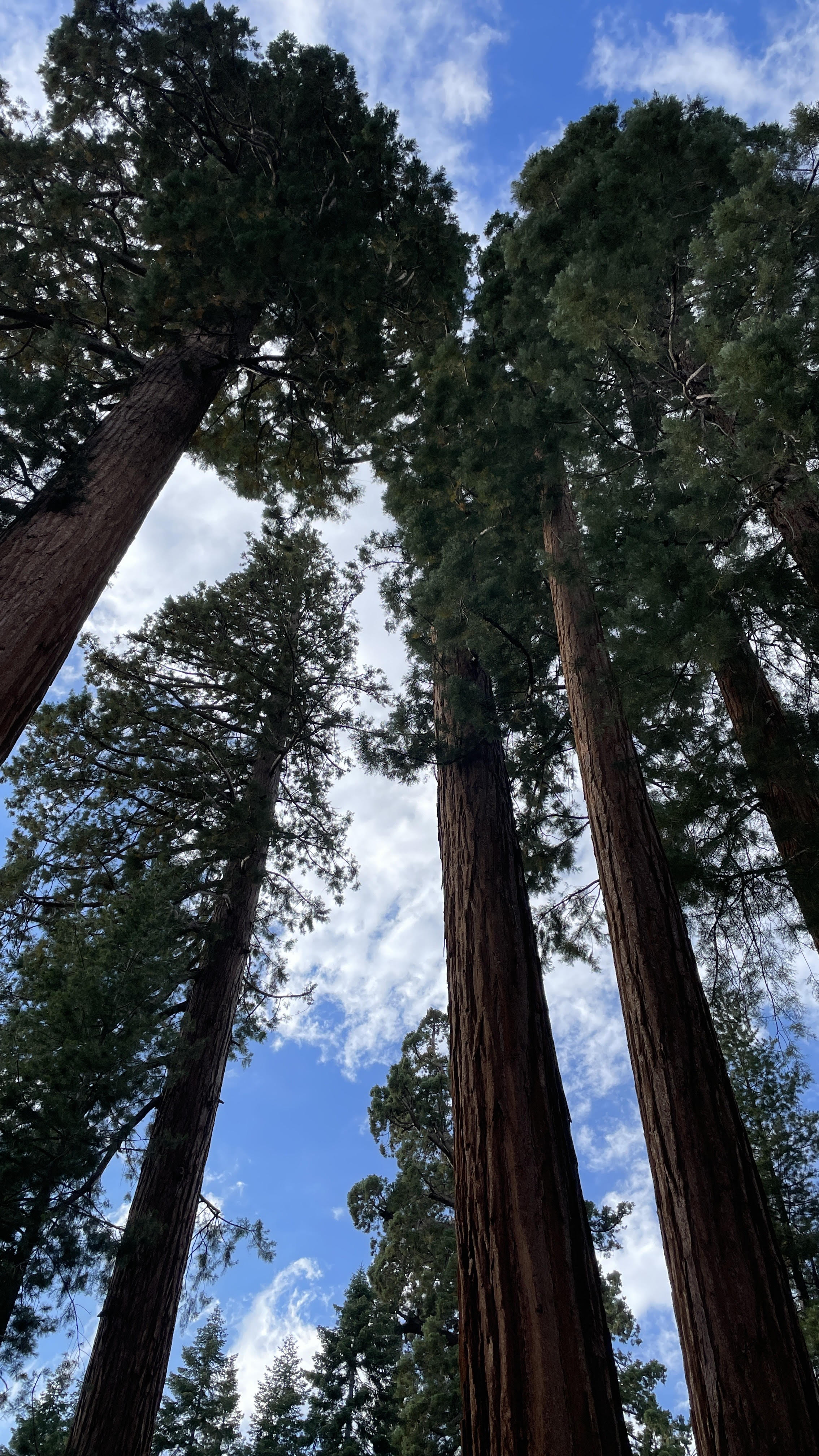 TOP 10 Národného parku Yosemite | Blog BUBO