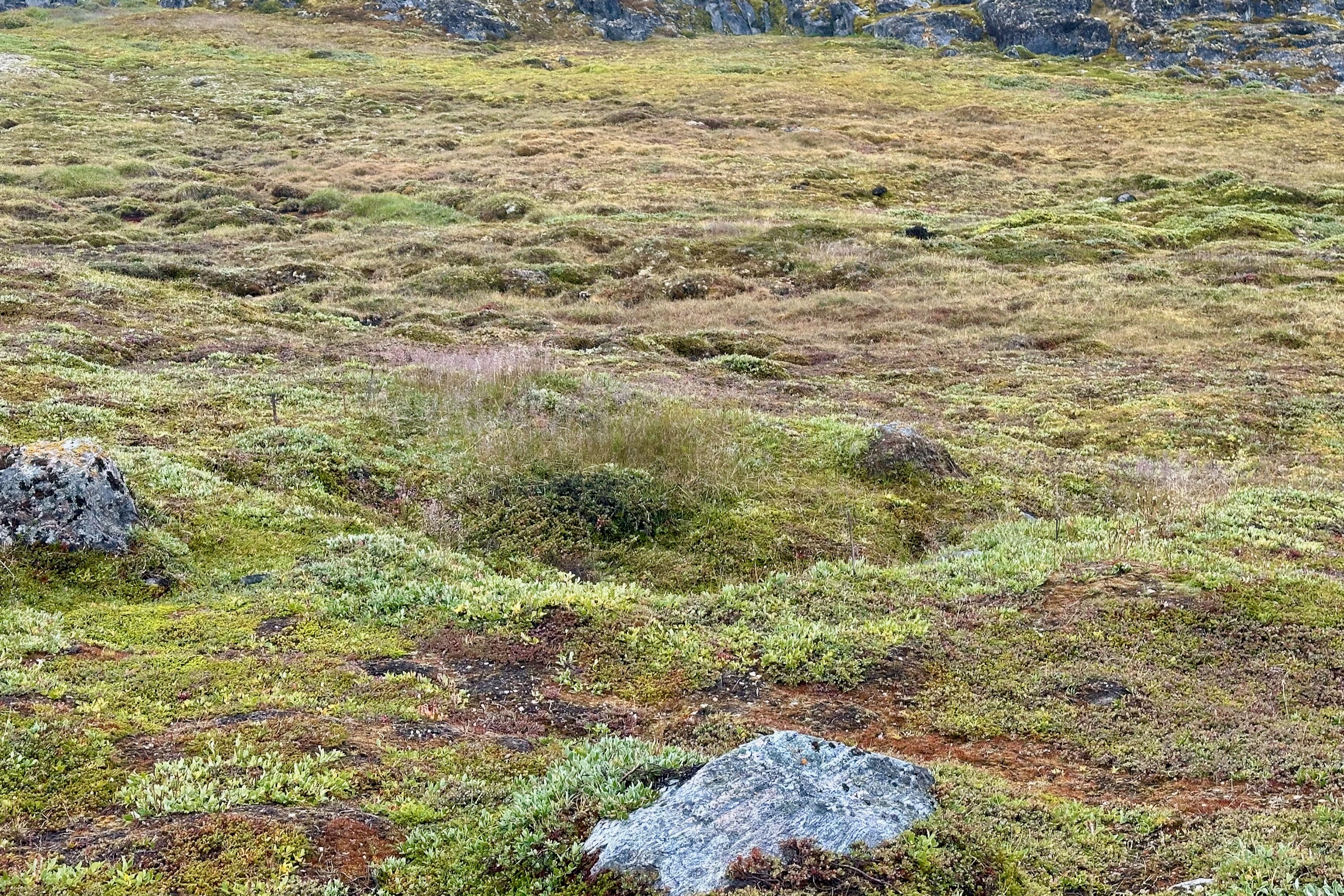 Inuiti, Eskimáci - život a tradície | Blog BUBO