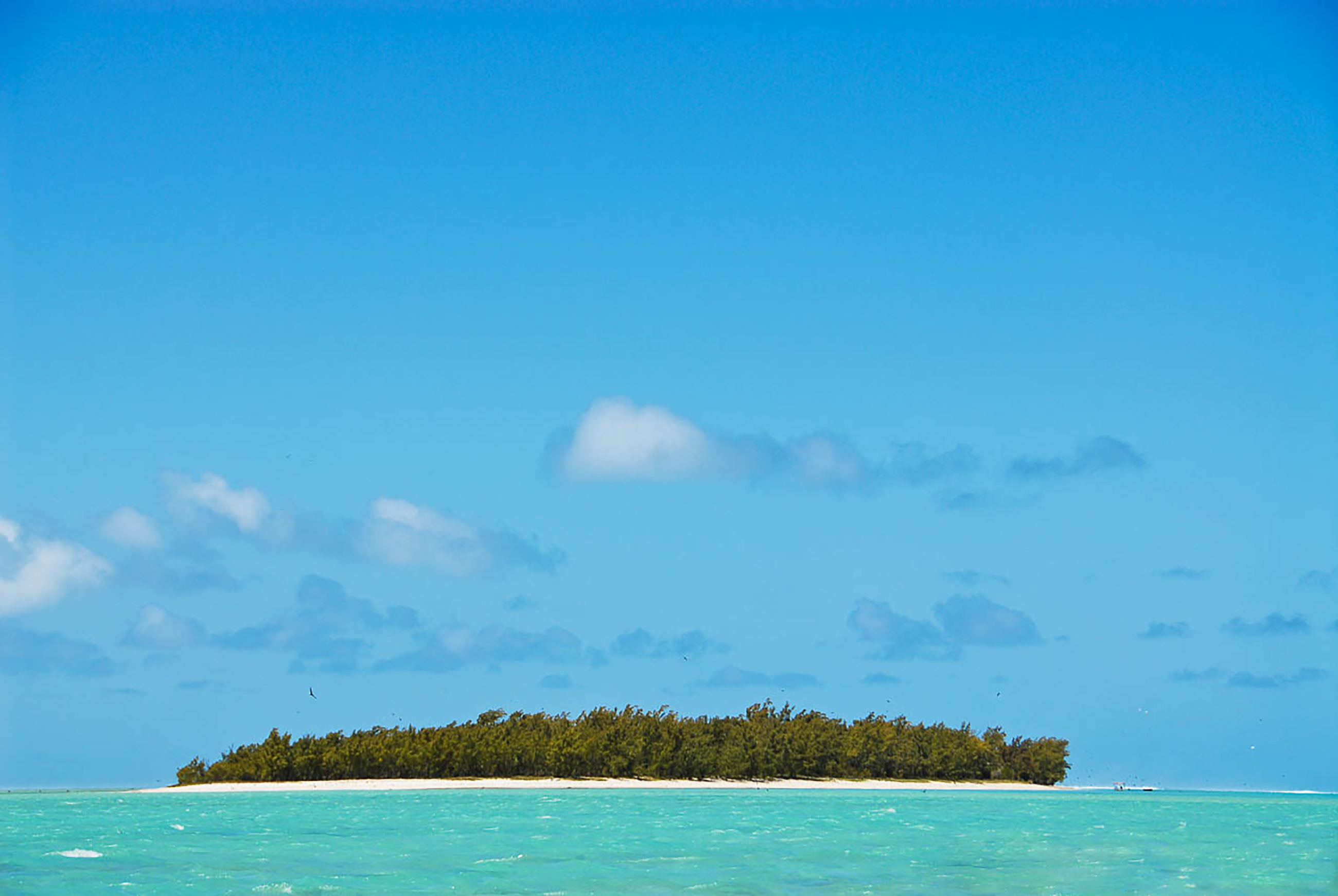 Makaronézia vs. Mikronézia vs. Maskarény | Blog BUBO
