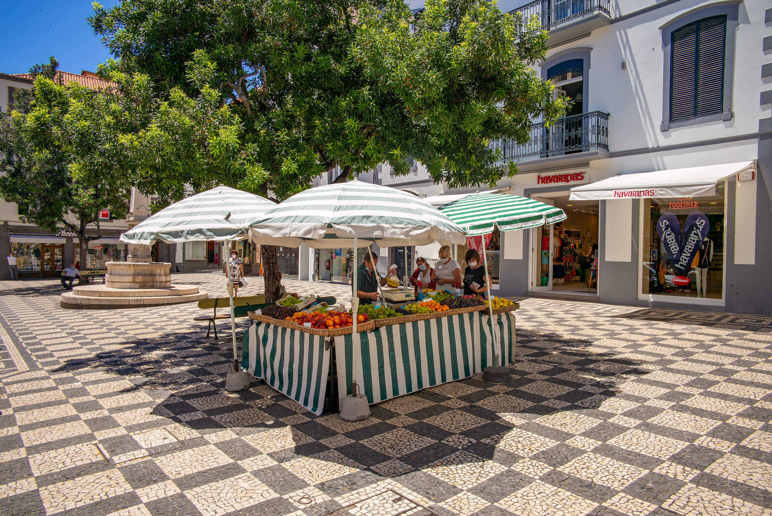 Makaronézia vs. Mikronézia vs. Maskarény | Blog BUBO