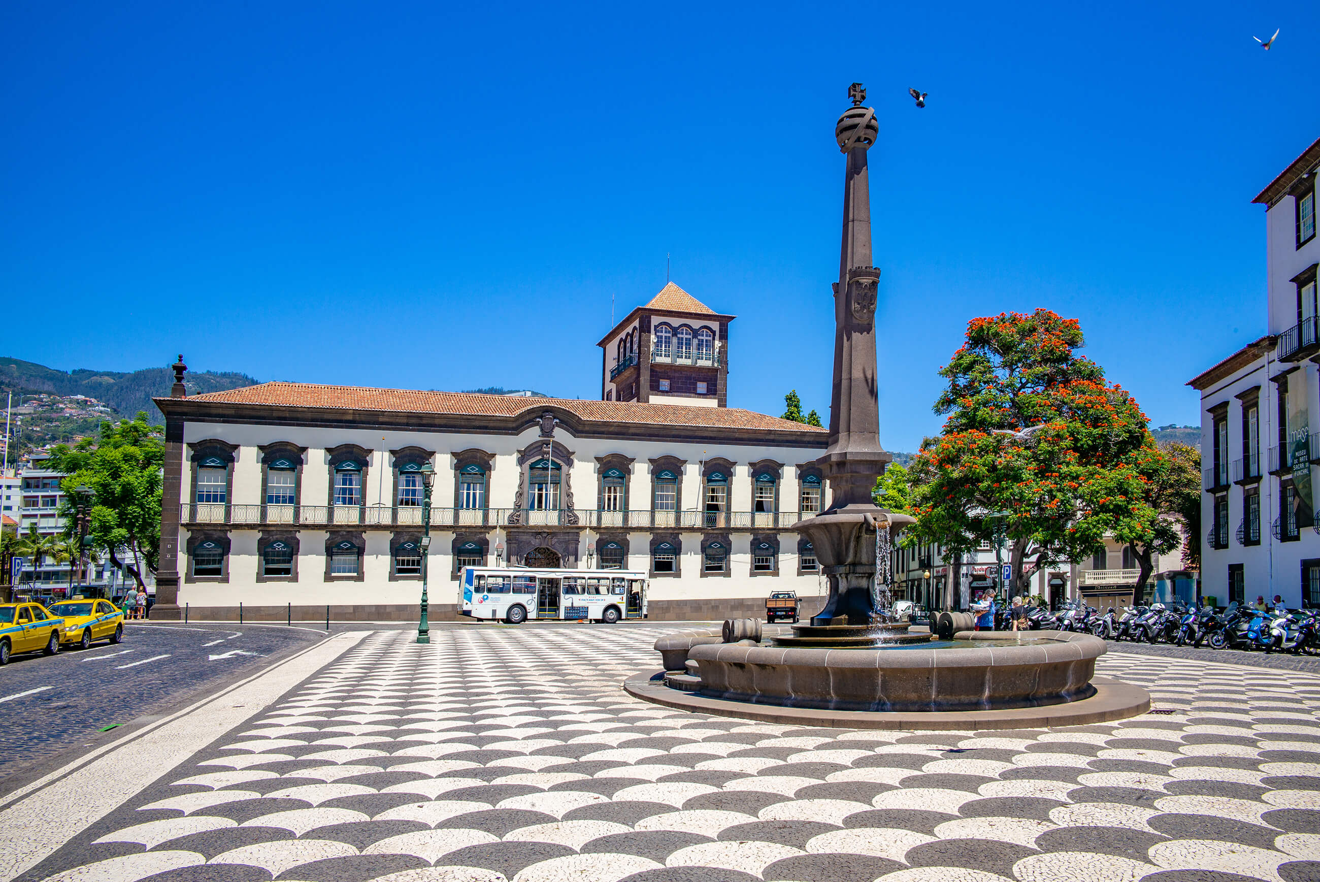 Makaronézia vs. Mikronézia vs. Maskarény | Blog BUBO