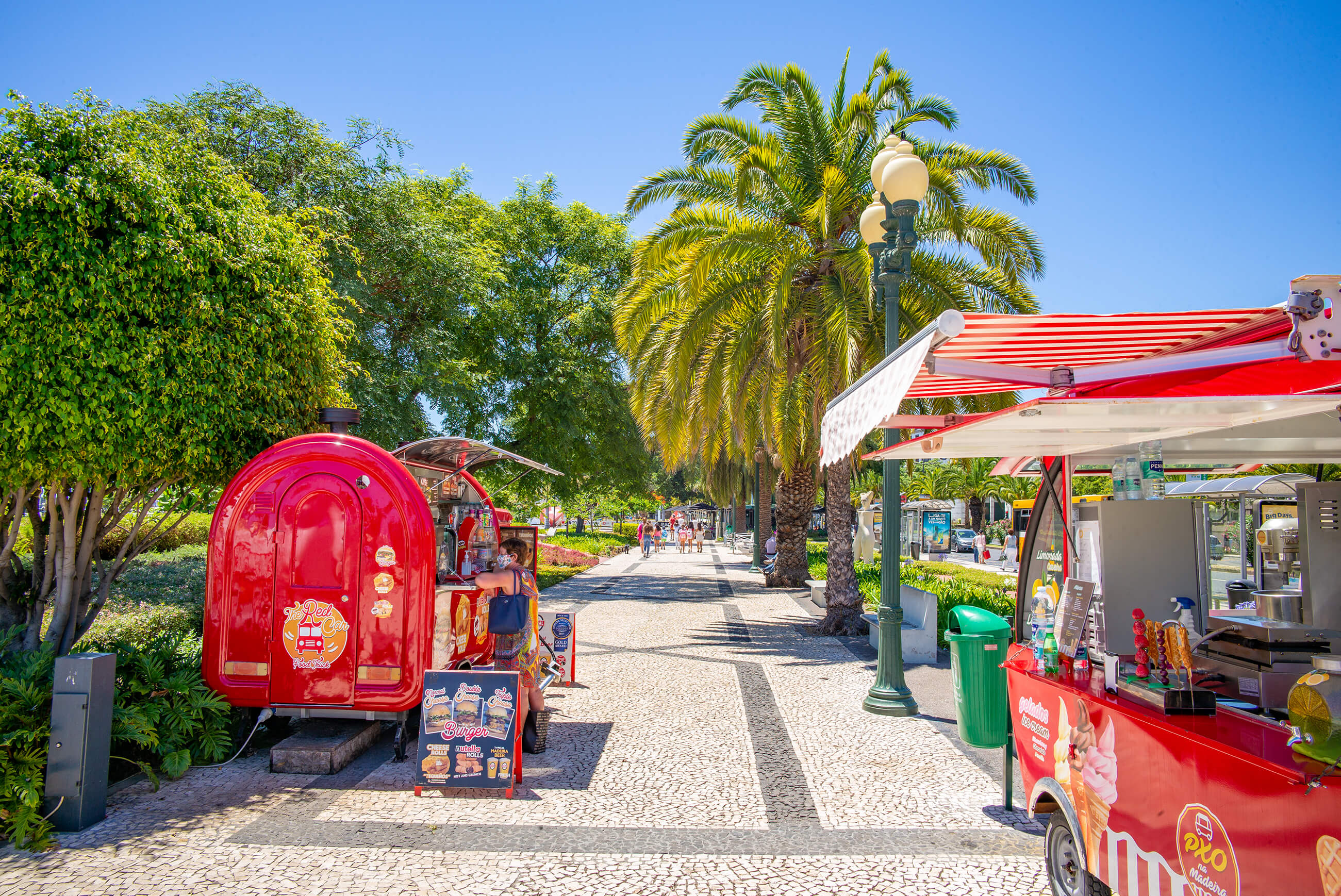 Makaronézia vs. Mikronézia vs. Maskarény | Blog BUBO