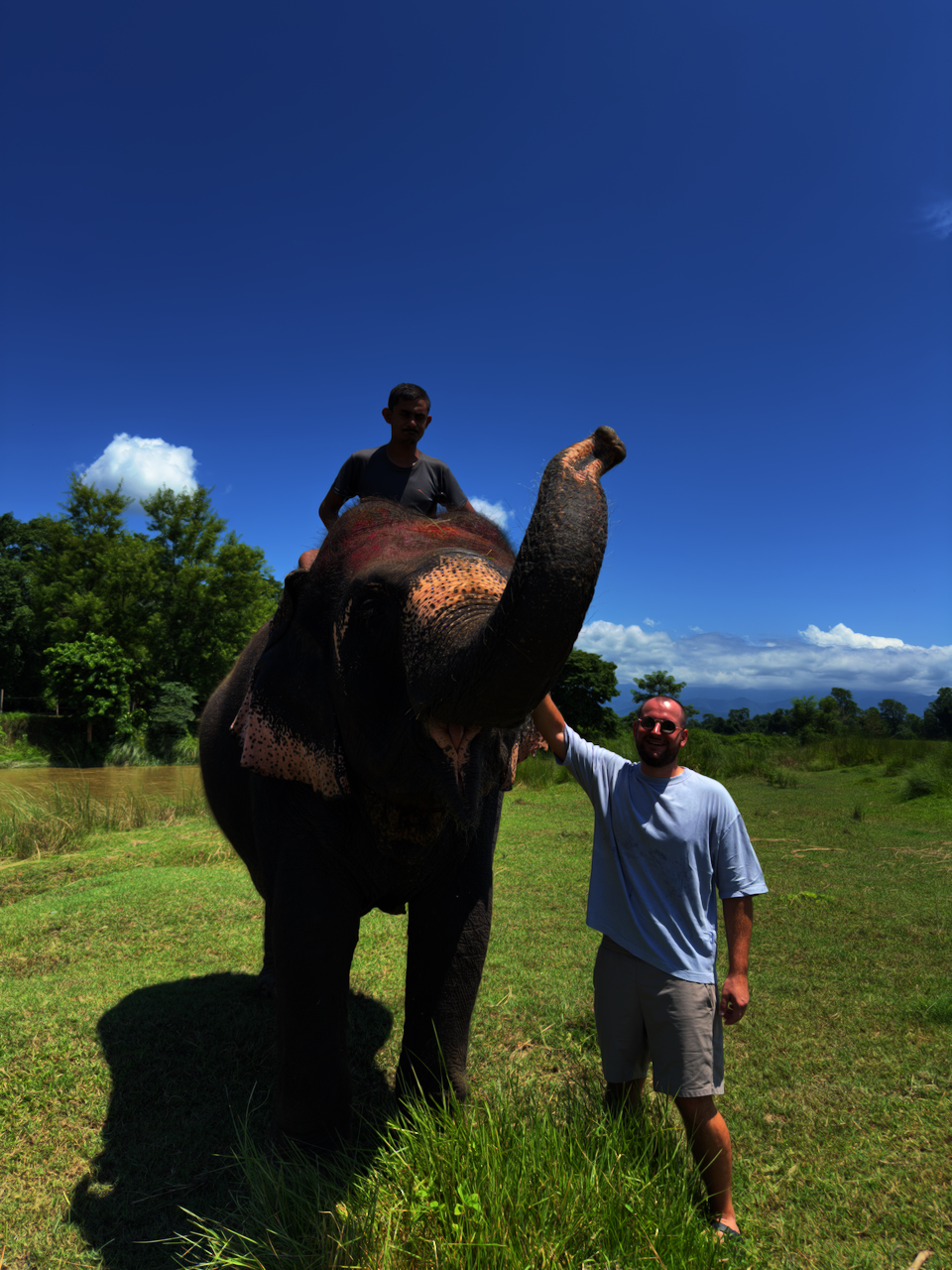 Umenie pozorovať slony – pochopiť ich reč, emócie a múdrosť | Blog BUBO