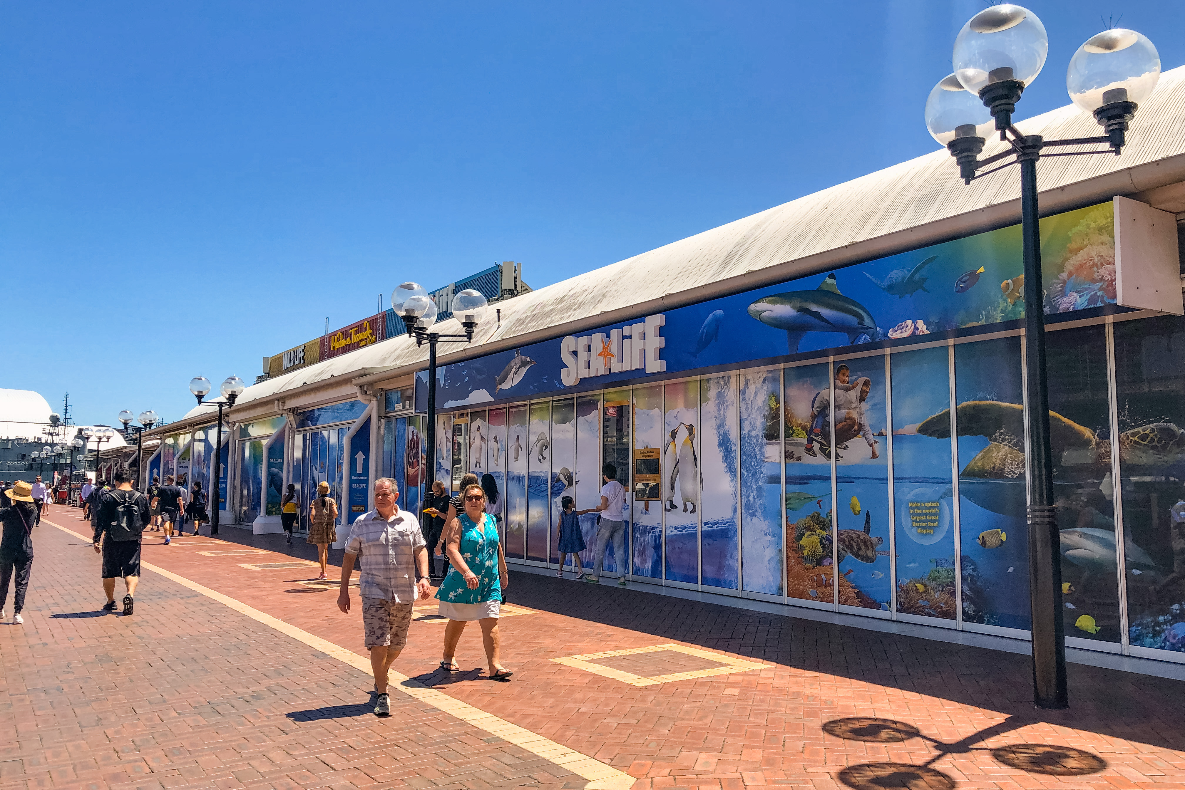 Sydney - pamiatky, čo vidieť okrem opery a Bondi Beach | Blog BUBO