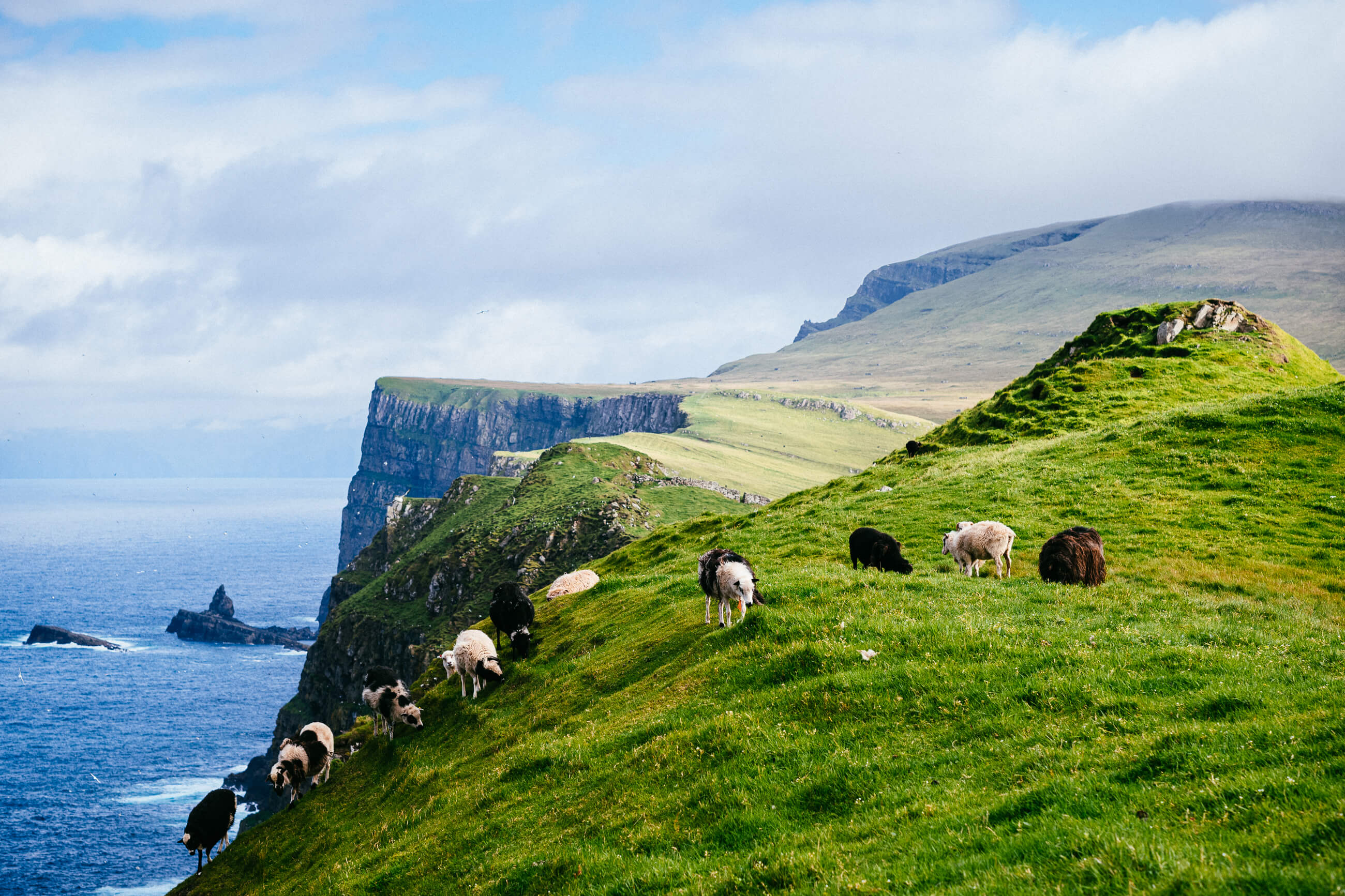Mykines - ostrov papagájov severu | Blog BUBO