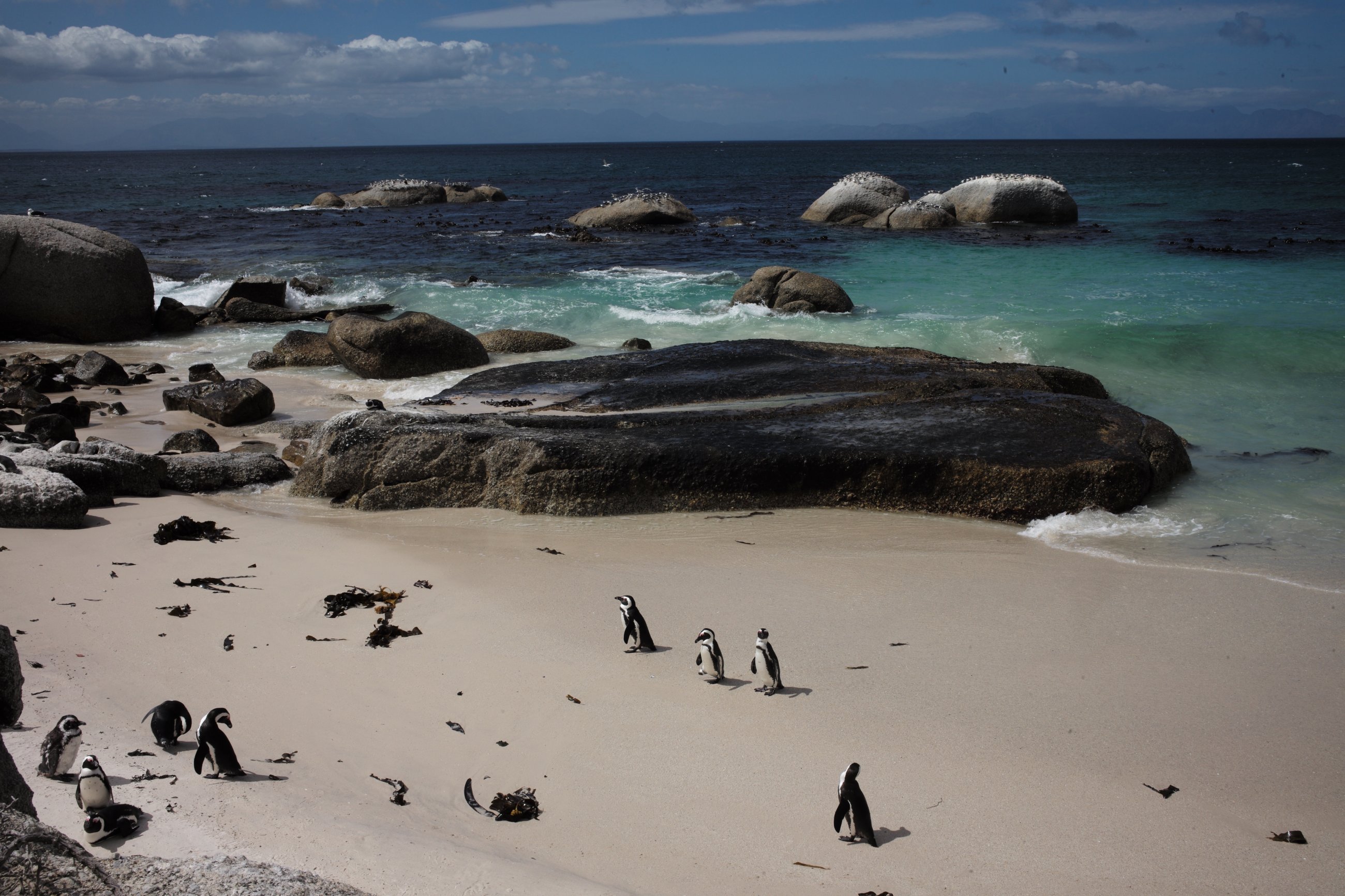 Južný pól | Dovolenka na mieru BUBO