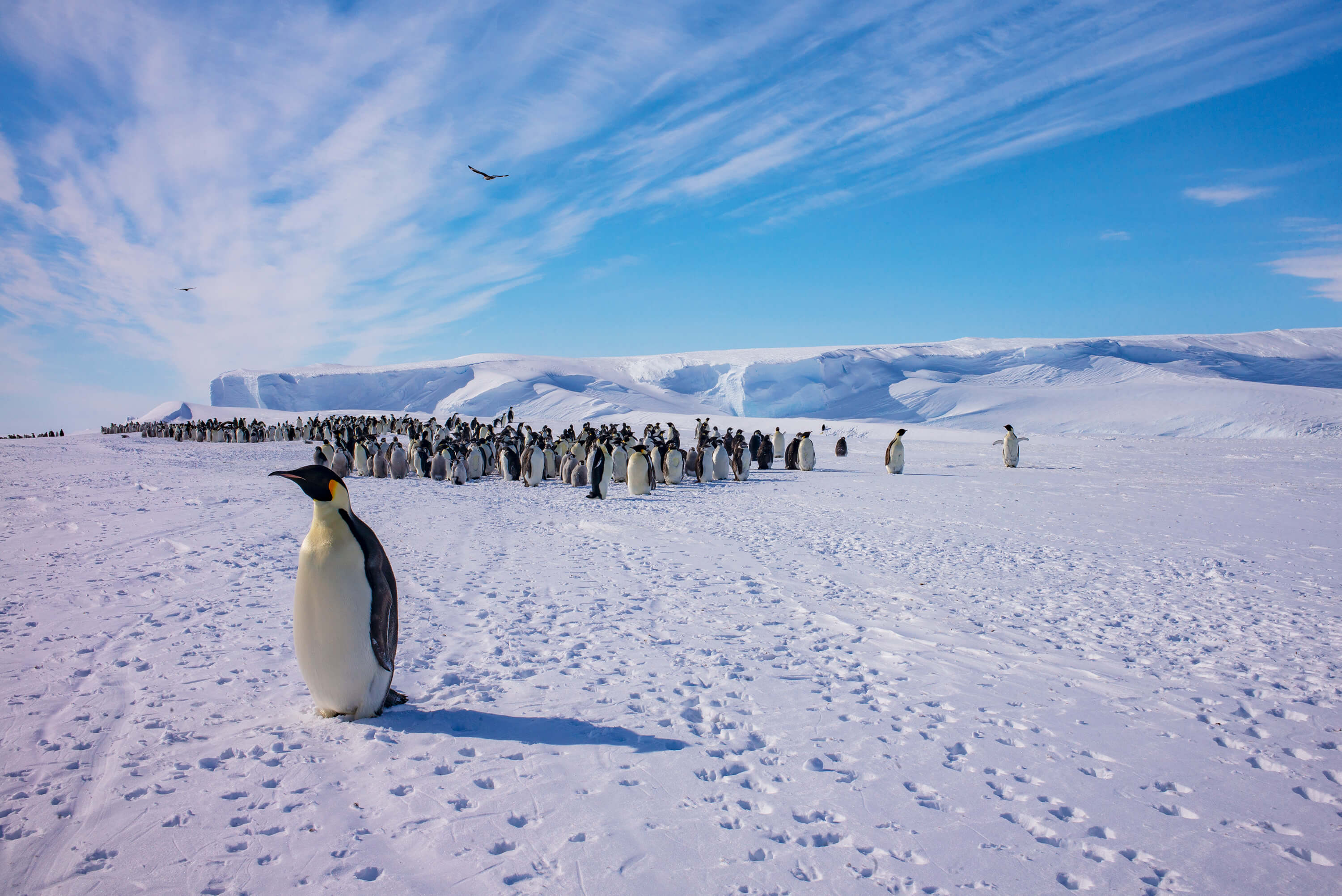 Južný pól | Dovolenka na mieru BUBO