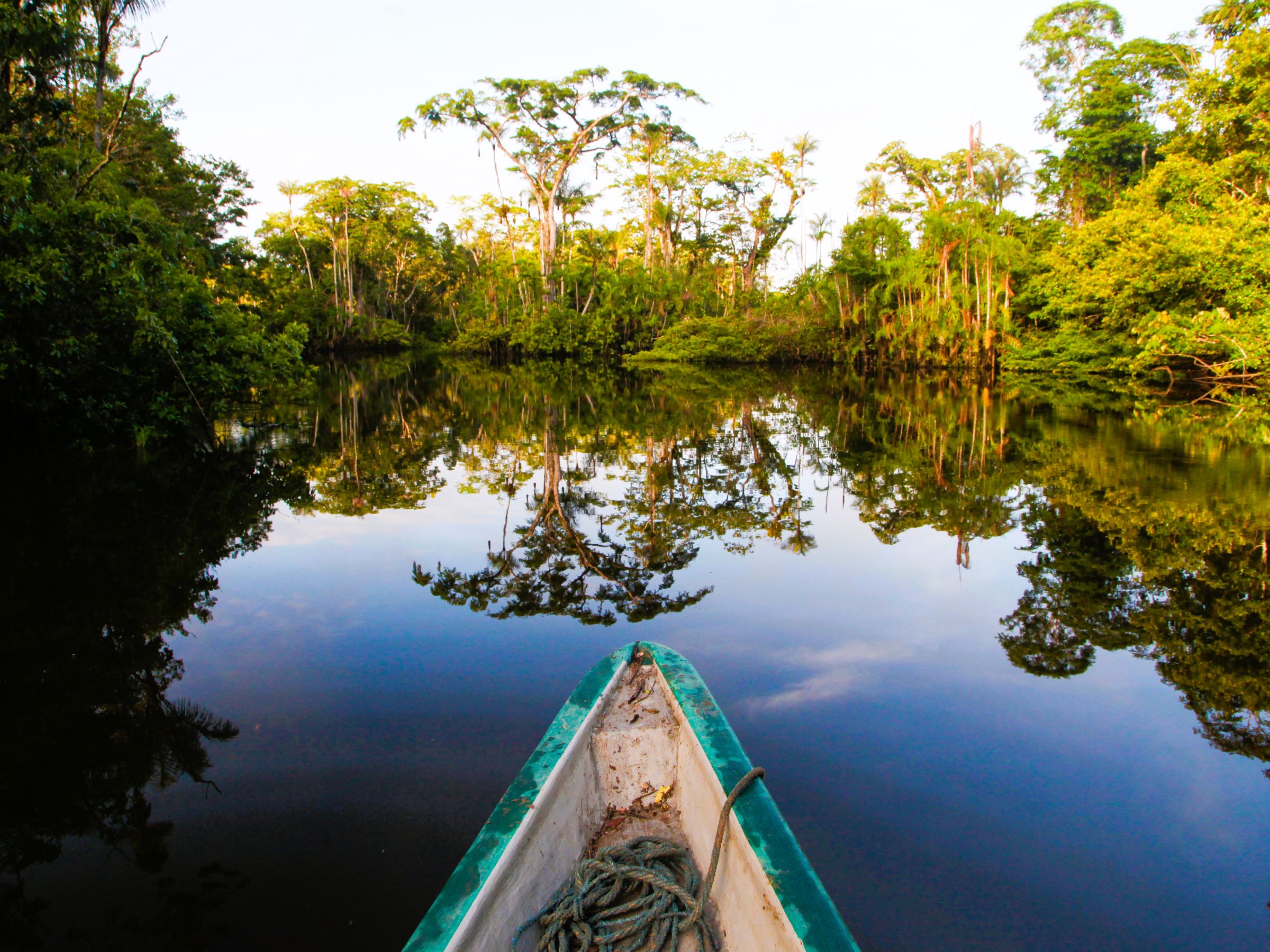 Džungľa v Kolumbii | Dovolenka BUBO
