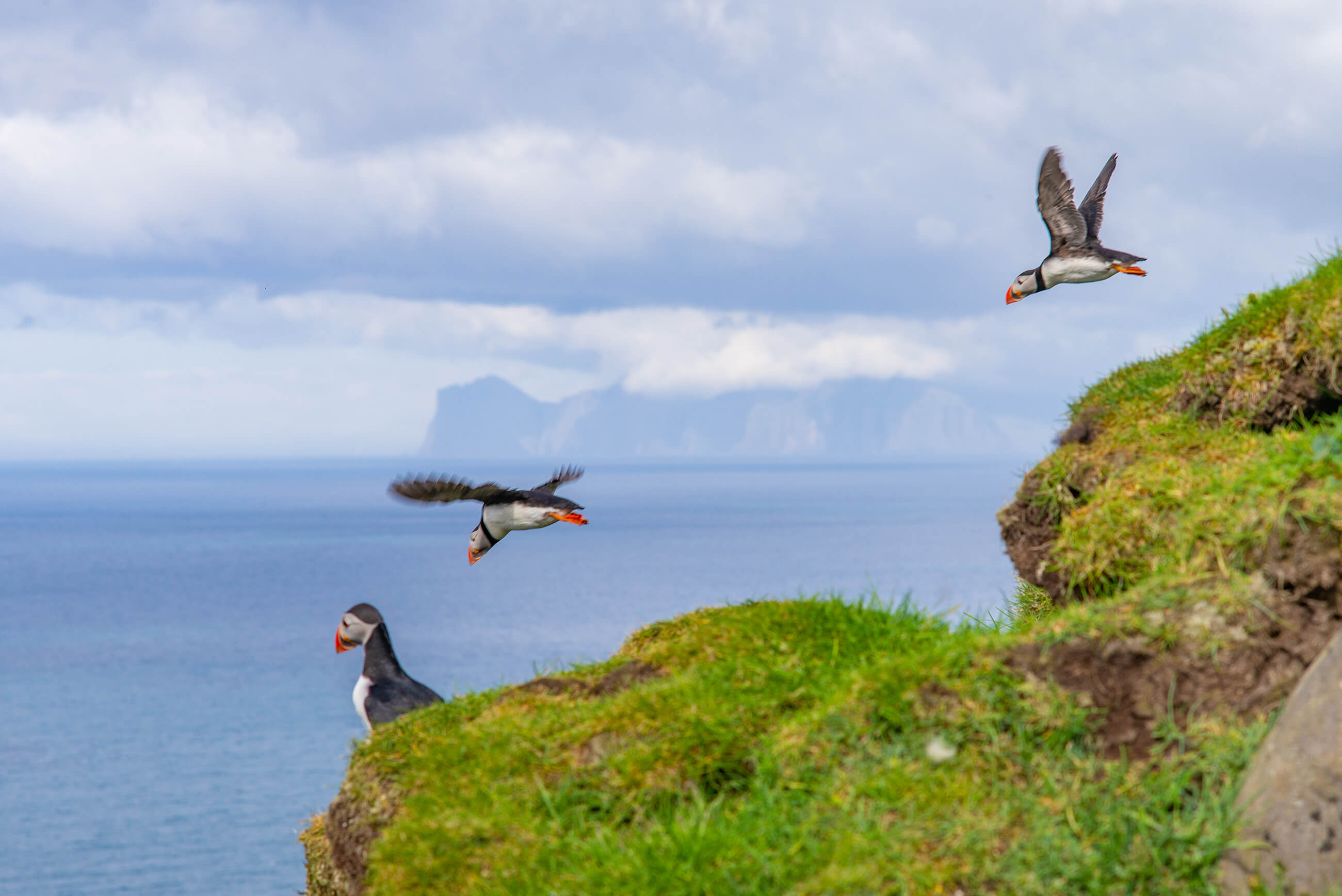 Faerské ostrovy, Island - kombinácia | Dovolenka BUBO