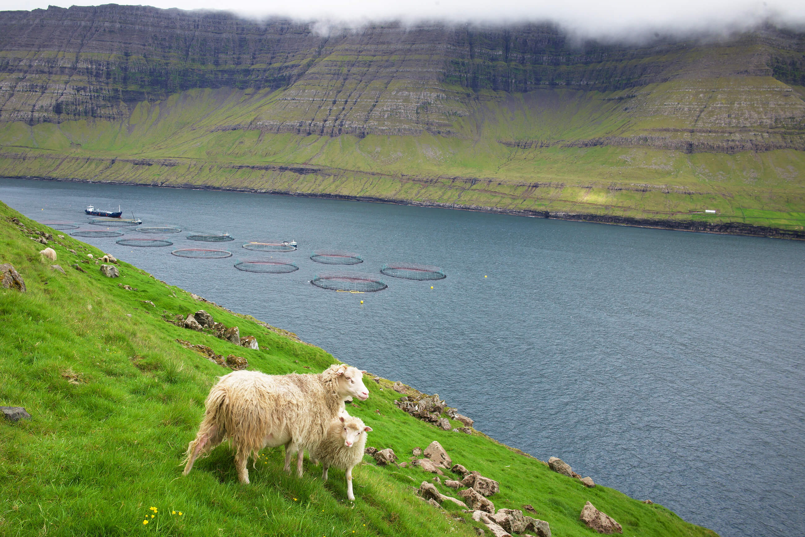 Faerské ostrovy, Island - kombinácia | Dovolenka BUBO
