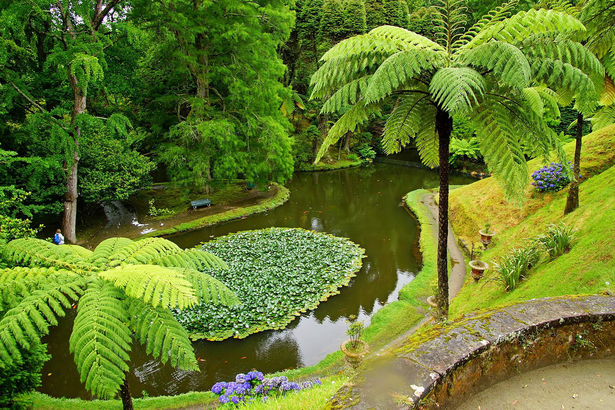 Azorské ostrovy – najkrajšie miesto na zemi | Dovolenka BUBO