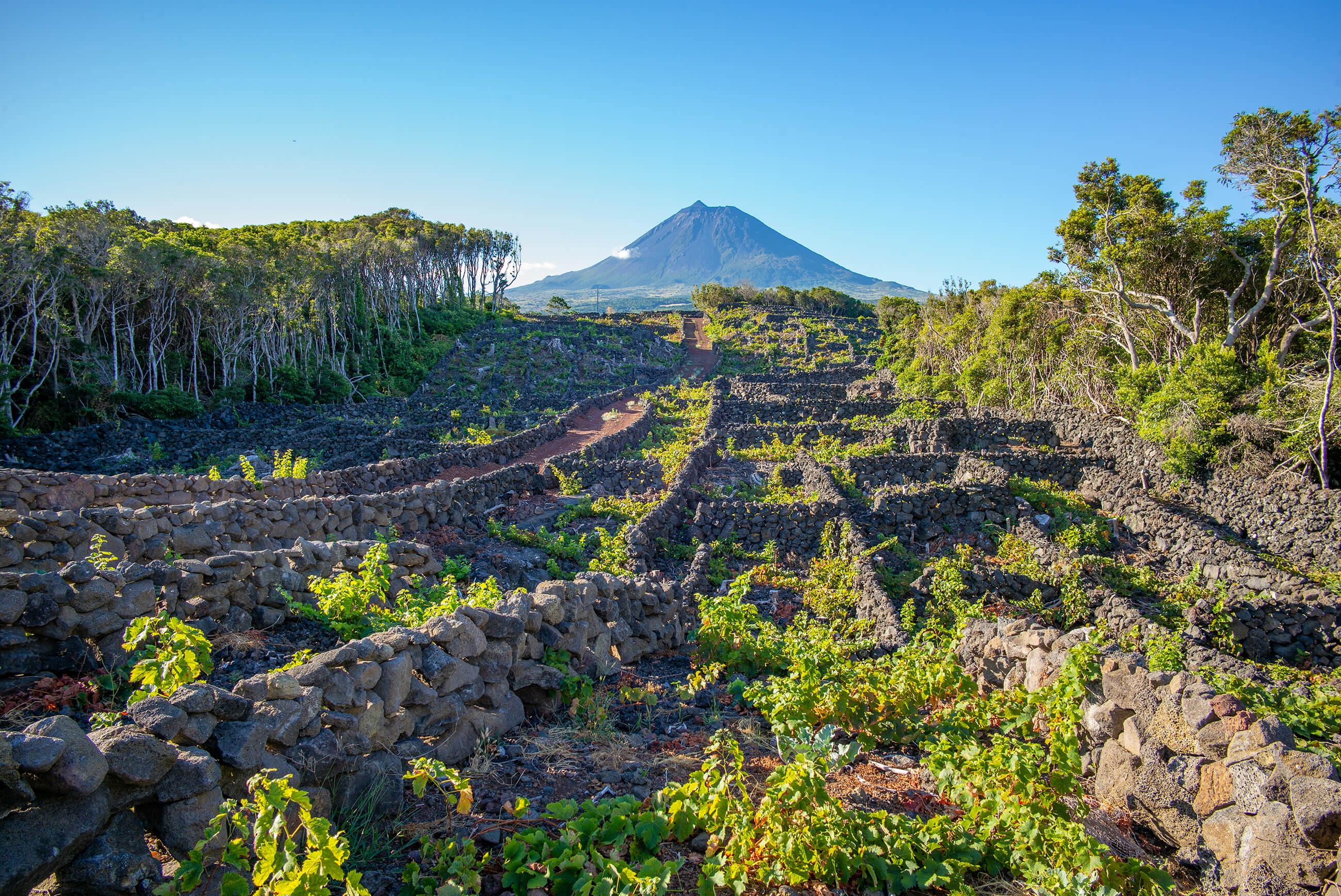 Azorské ostrovy – najkrajšie miesto na Zemi | Dovolenka BUBO