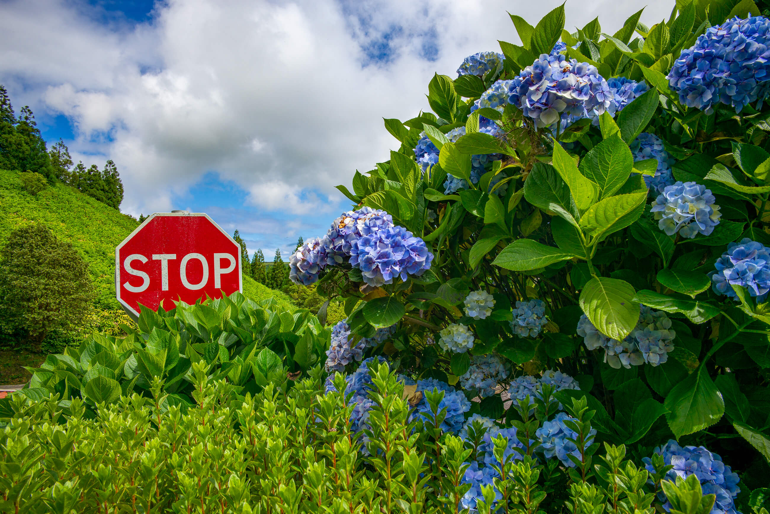 Azorské ostrovy – najkrajšie miesto na Zemi | Dovolenka BUBO