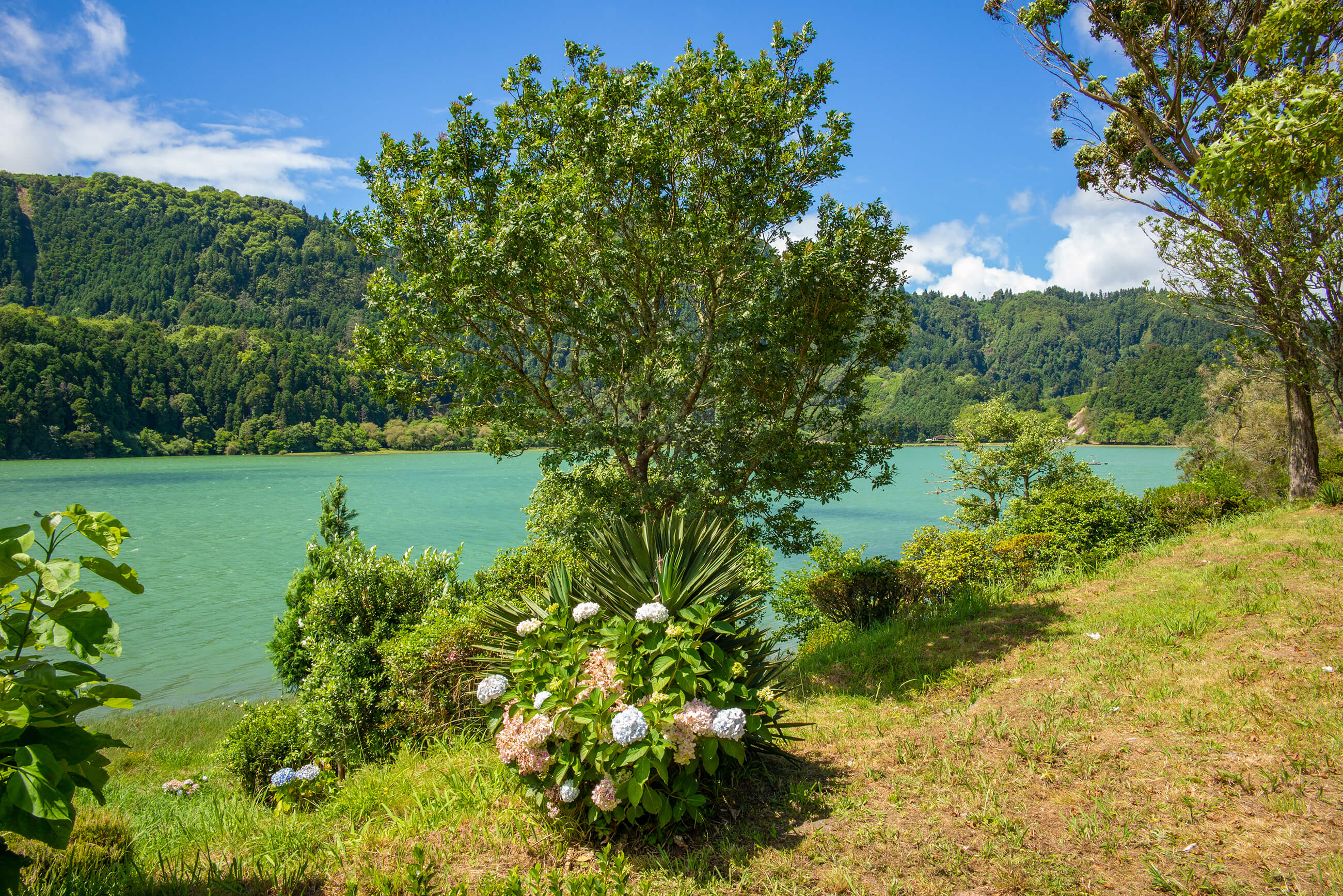 Azorské ostrovy – najkrajšie miesto na Zemi | Dovolenka BUBO