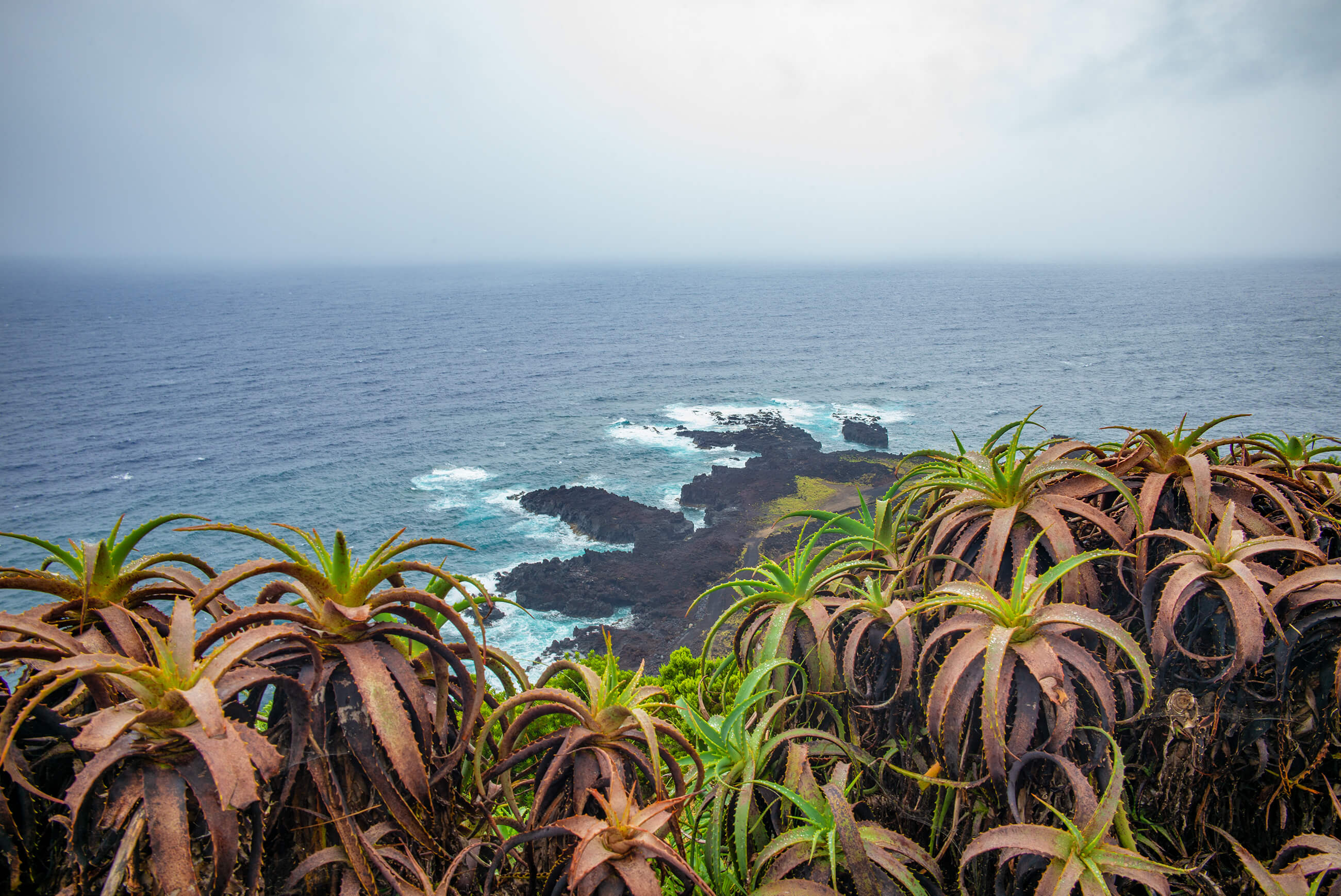 Azorské ostrovy – najkrajšie miesto na Zemi | Dovolenka BUBO