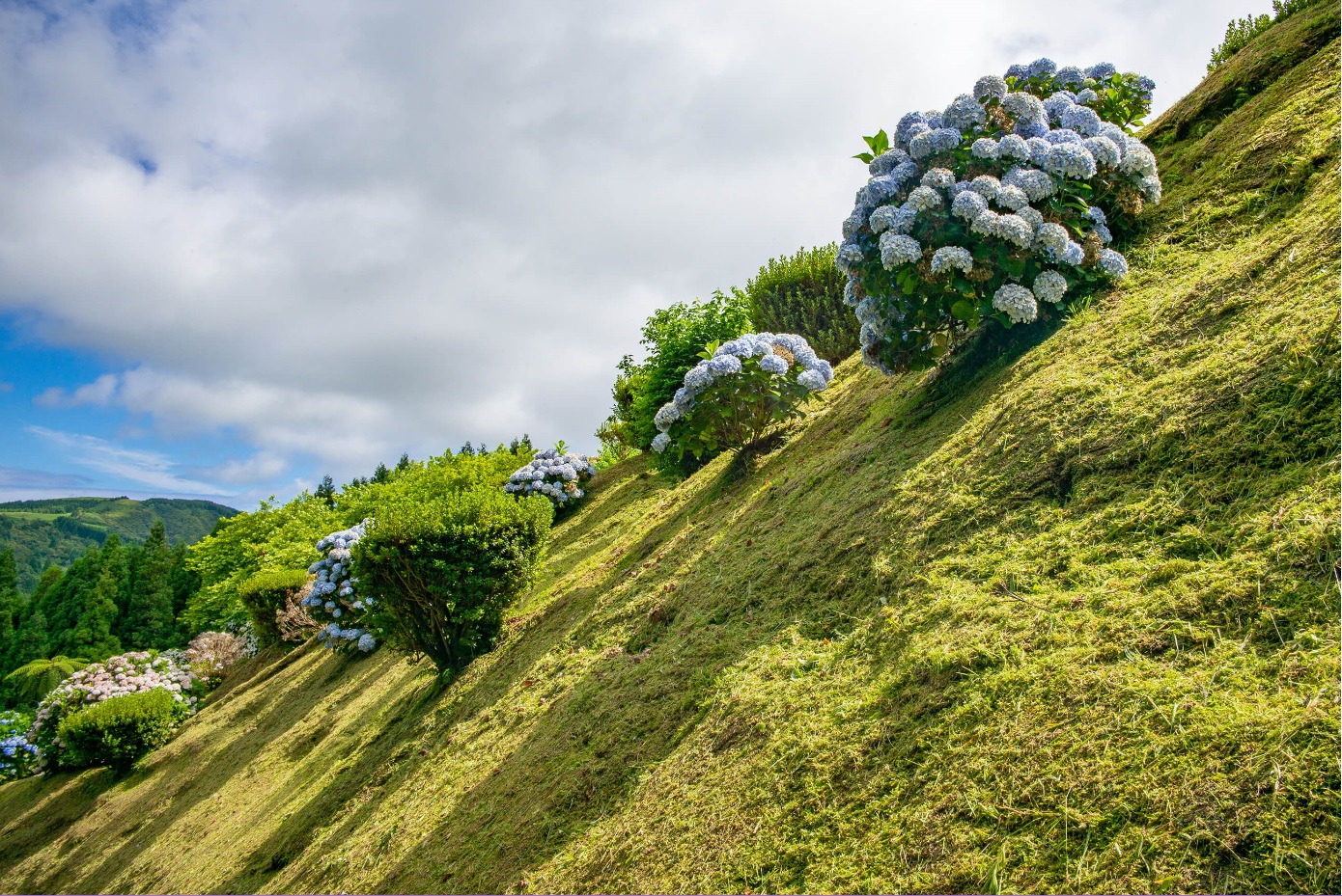 Azorské ostrovy – najkrajšie miesto na Zemi | Dovolenka BUBO