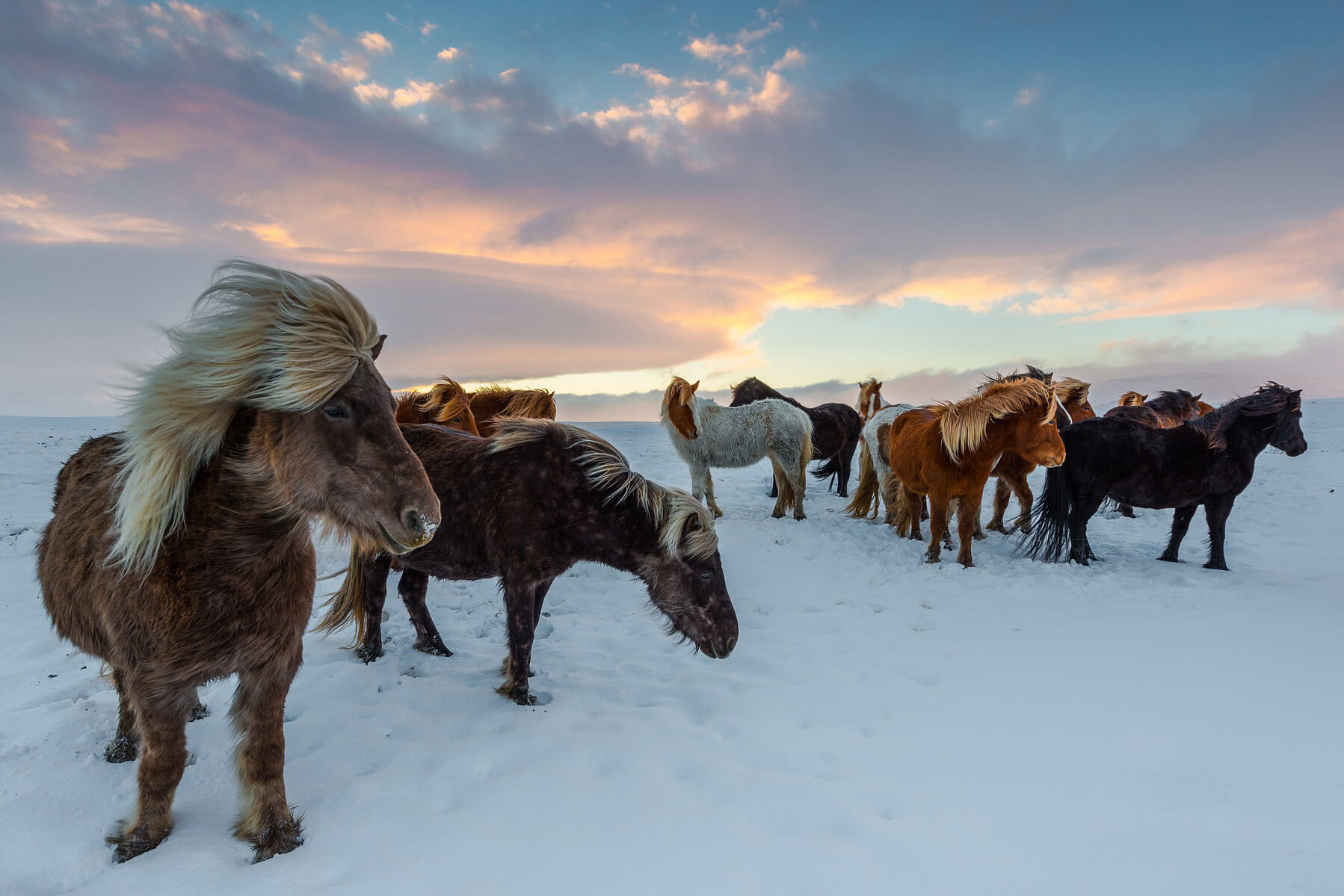 Polárna žiara na Islande | Dovolenka BUBO