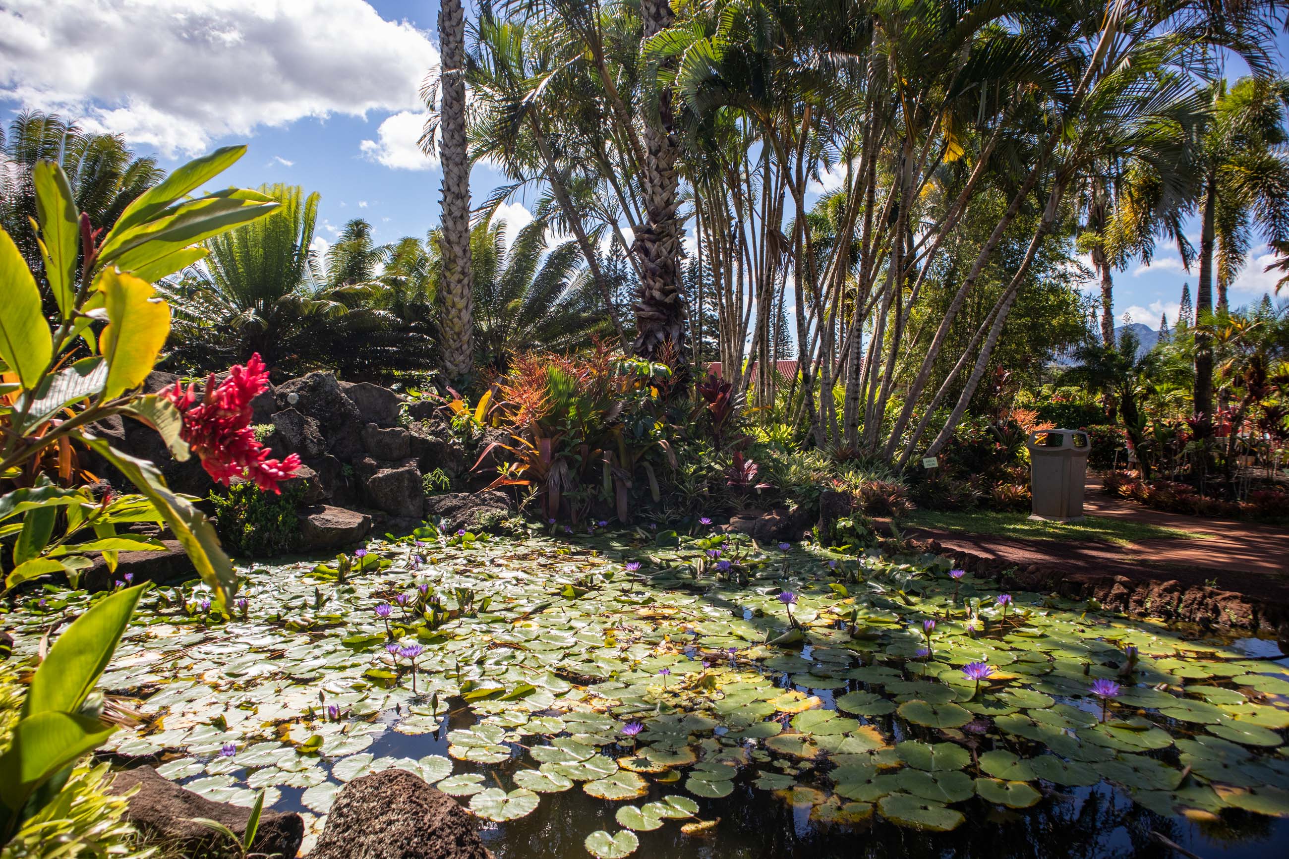 Havajské ostrovy | Dovolenka BUBO