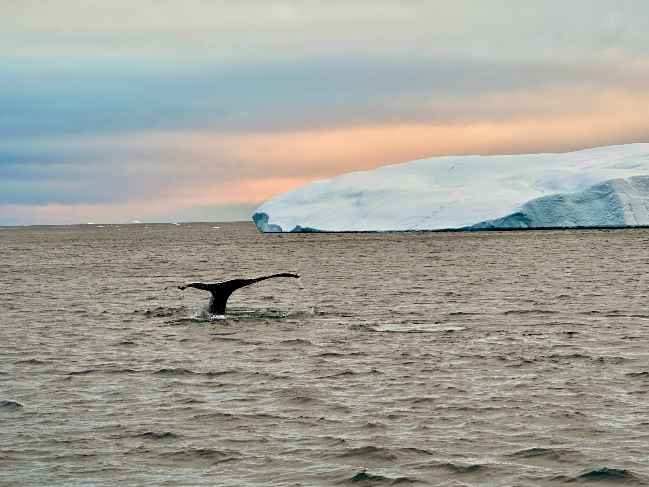 Grónsko - luxusné dobrodružstvo | Dovolenka BUBO