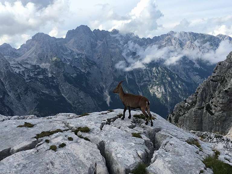 Alpská päťka Aktívne | Dovolenka BUBO