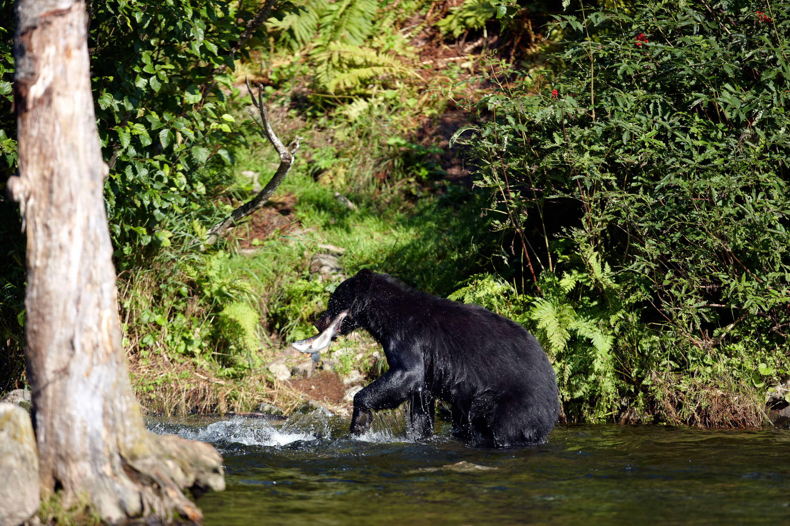 Jedinečná kombinácia Aljaška, Havaj, Tahiti, Moorea a Cookove ostrovy ...