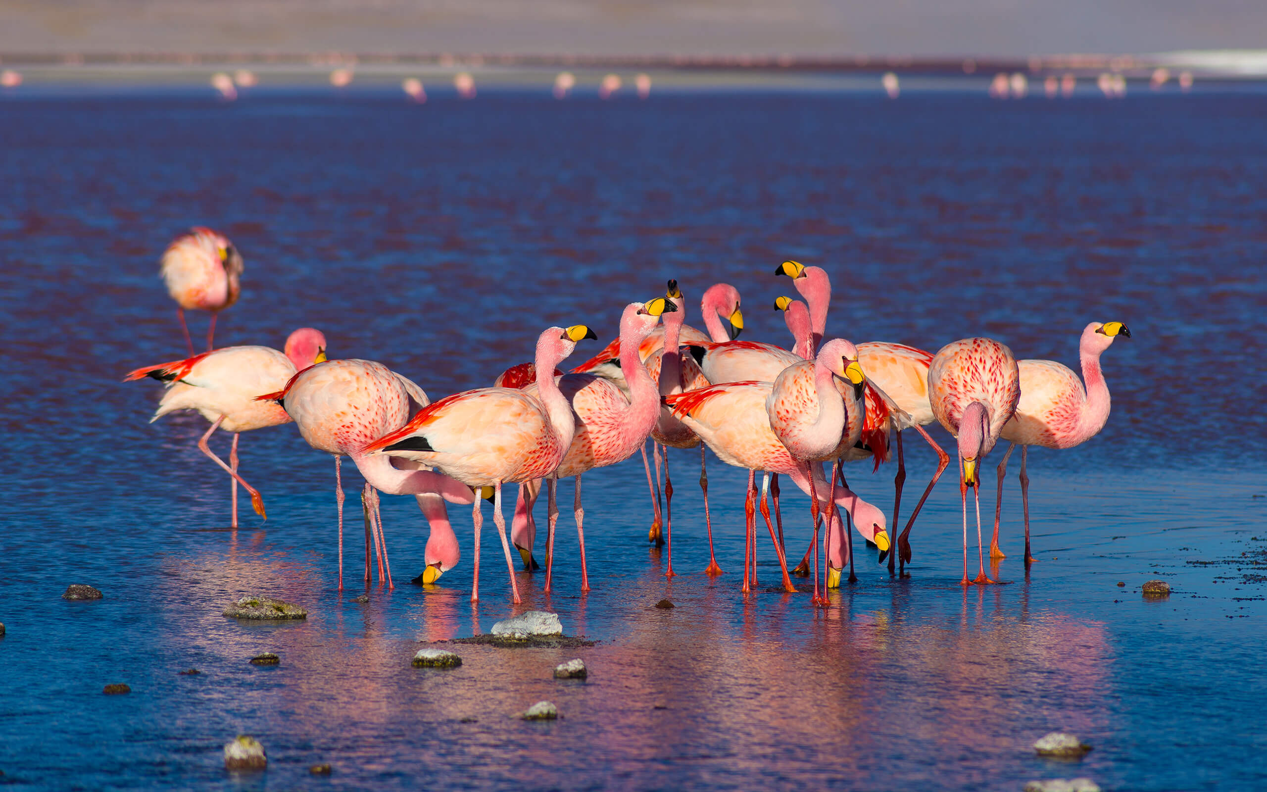 Bolívia - dovolenky a poznávacie zájazdy 2026 | BUBO