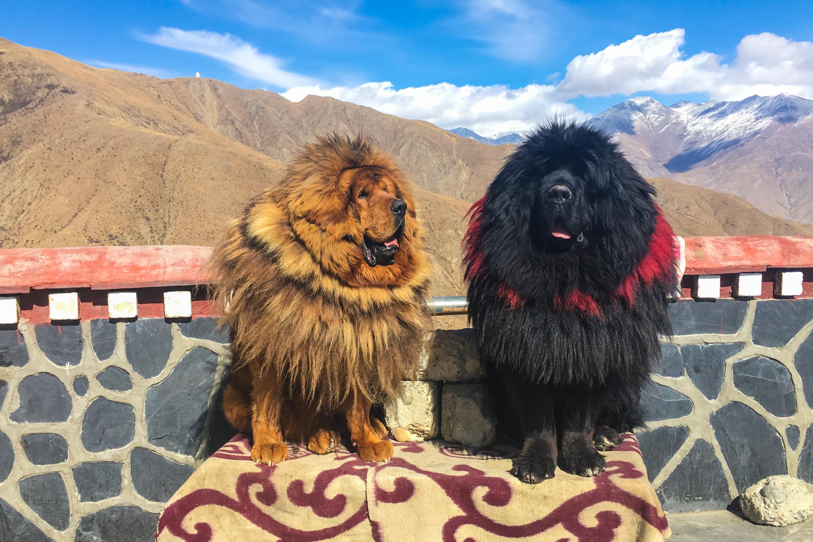 Prečo je v Tibete voda zelená? | Blog BUBO