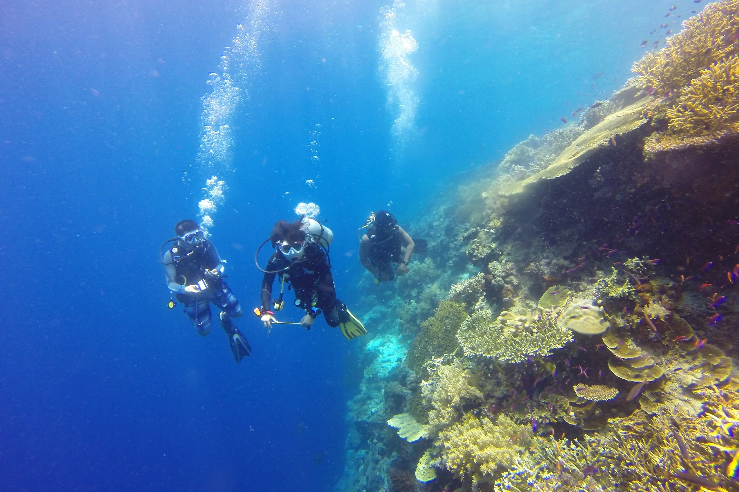 Východný Timor - dovolenky a poznávacie zájazdy 2026 | BUBO