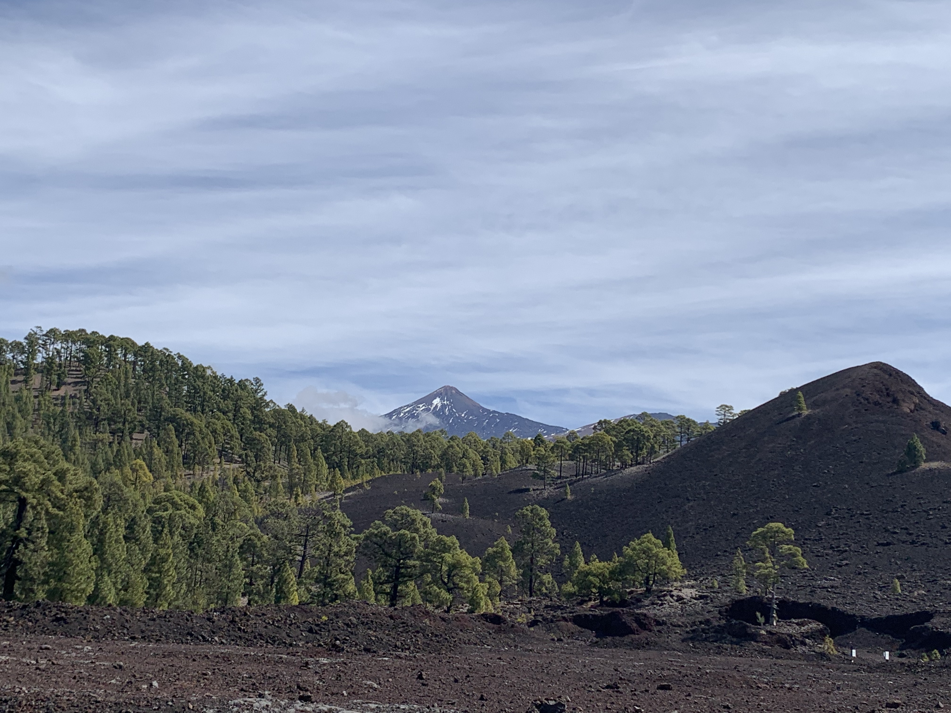 Tenerife - top miesta najväčšieho z Kanárskych ostrovov | Blog BUBO