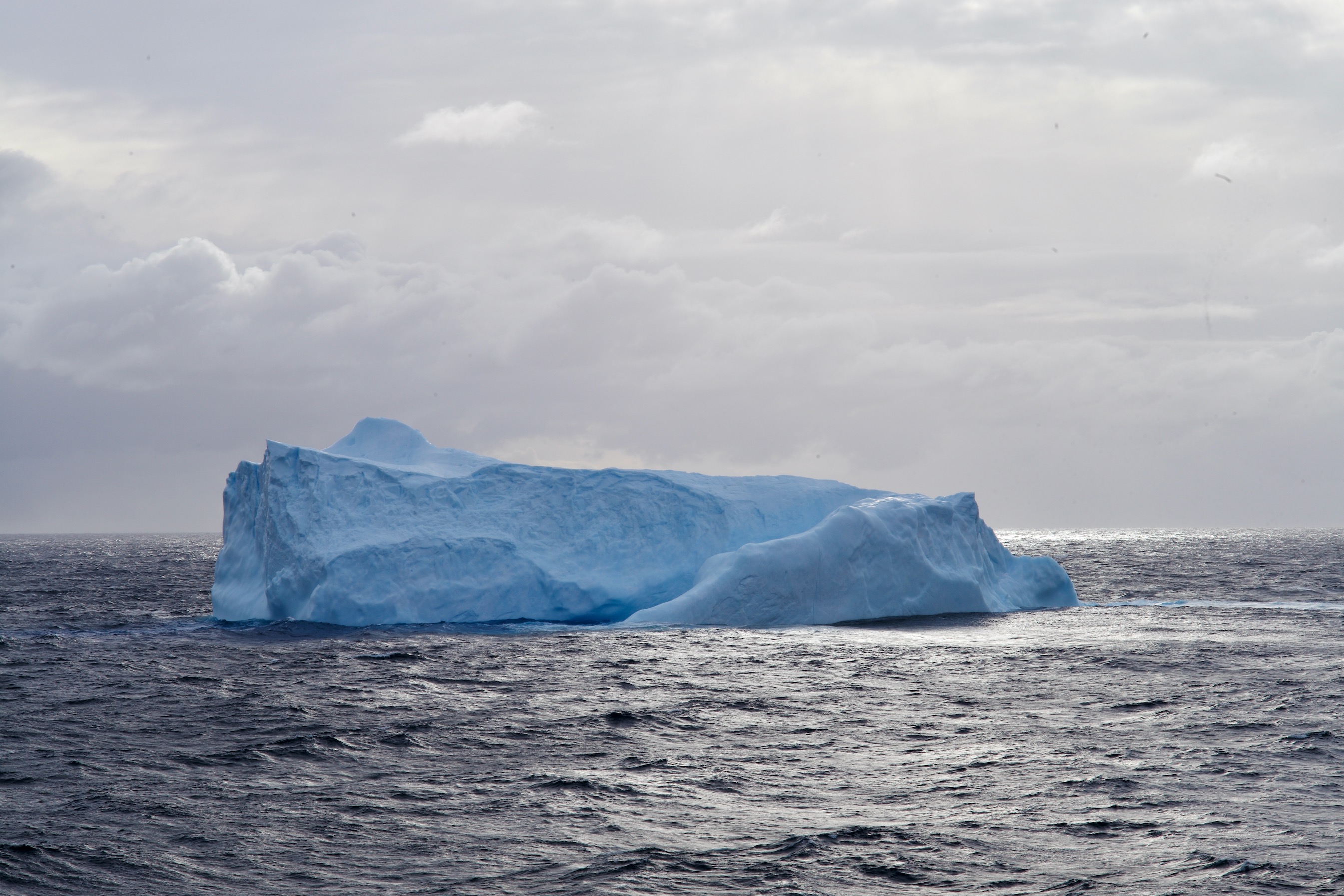 Južná Georgia - ekologický prírodný raj Antarktídy | Blog BUBO