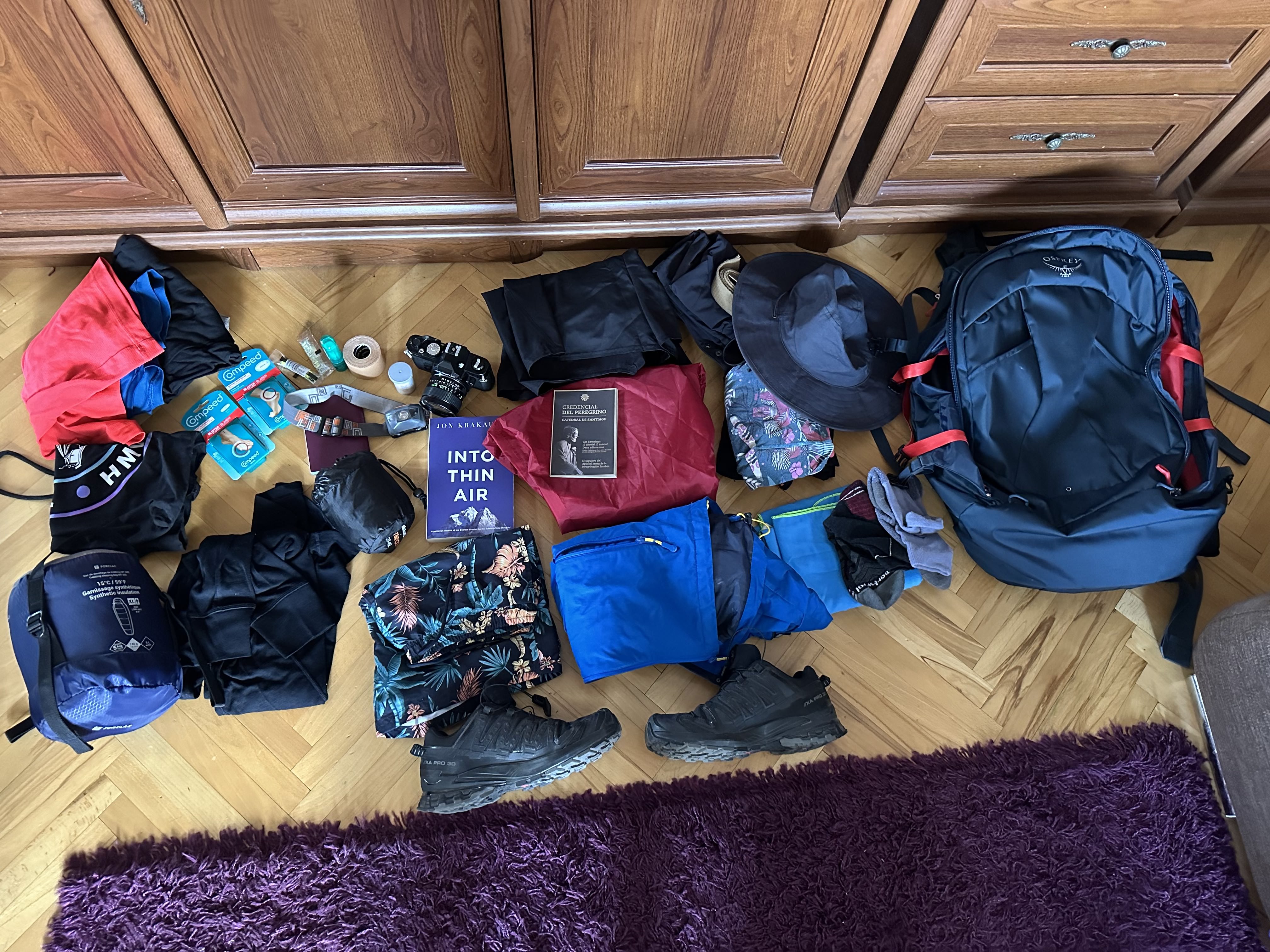 Camino de Santiago: Sprievodca púťou do Santiaga | Blog BUBO